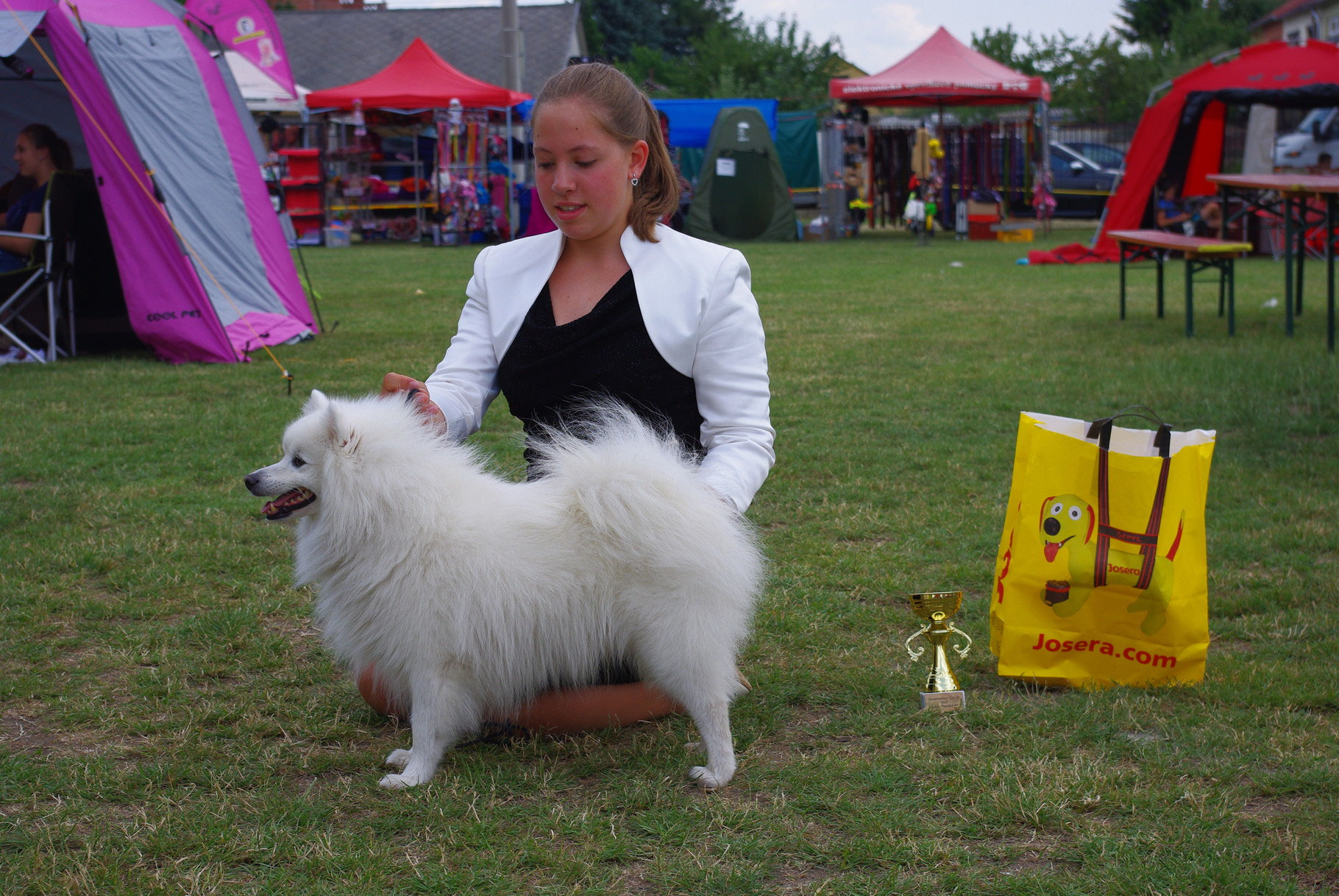 Über Mich - Dog Shows & Show Handling