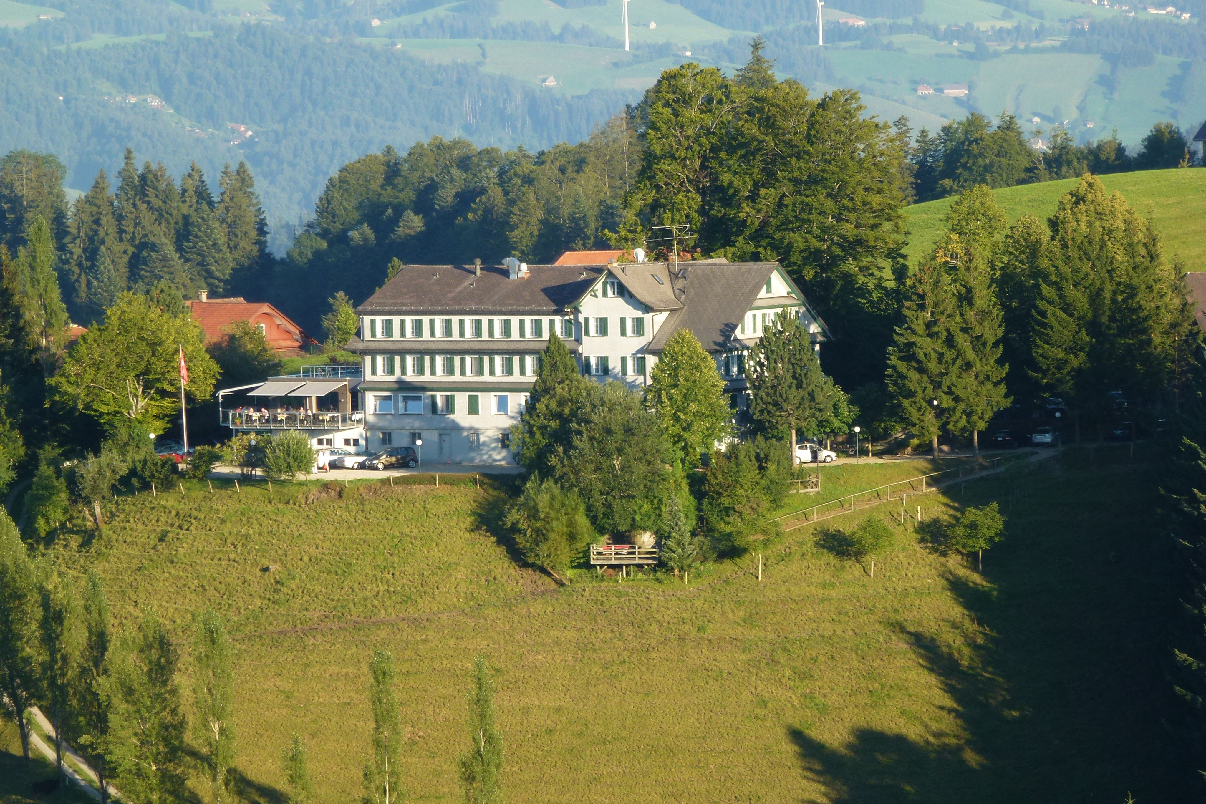 Menzberg im Sommer - menzbergs Webseite!