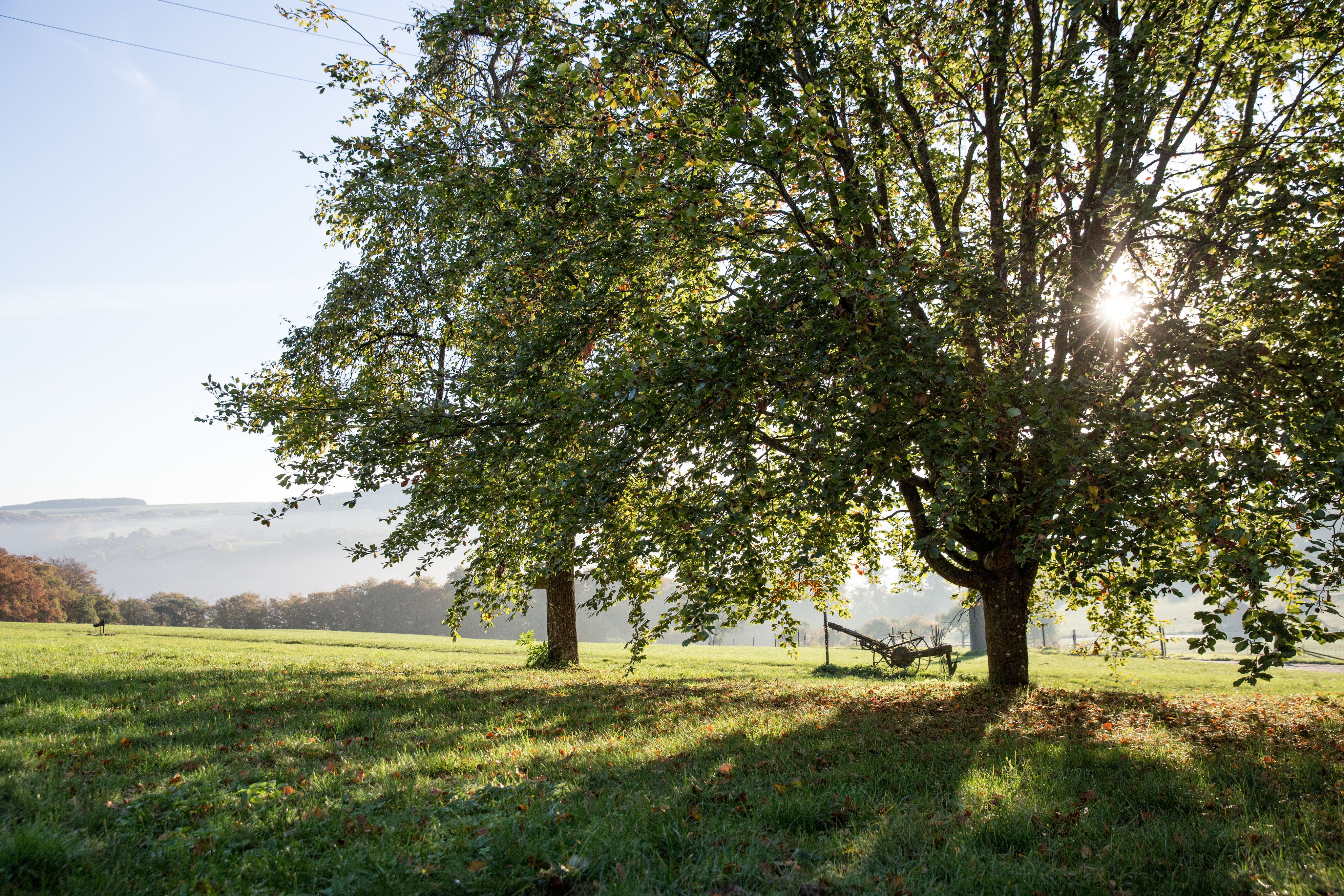 DER GARTEN - Hazelnut House