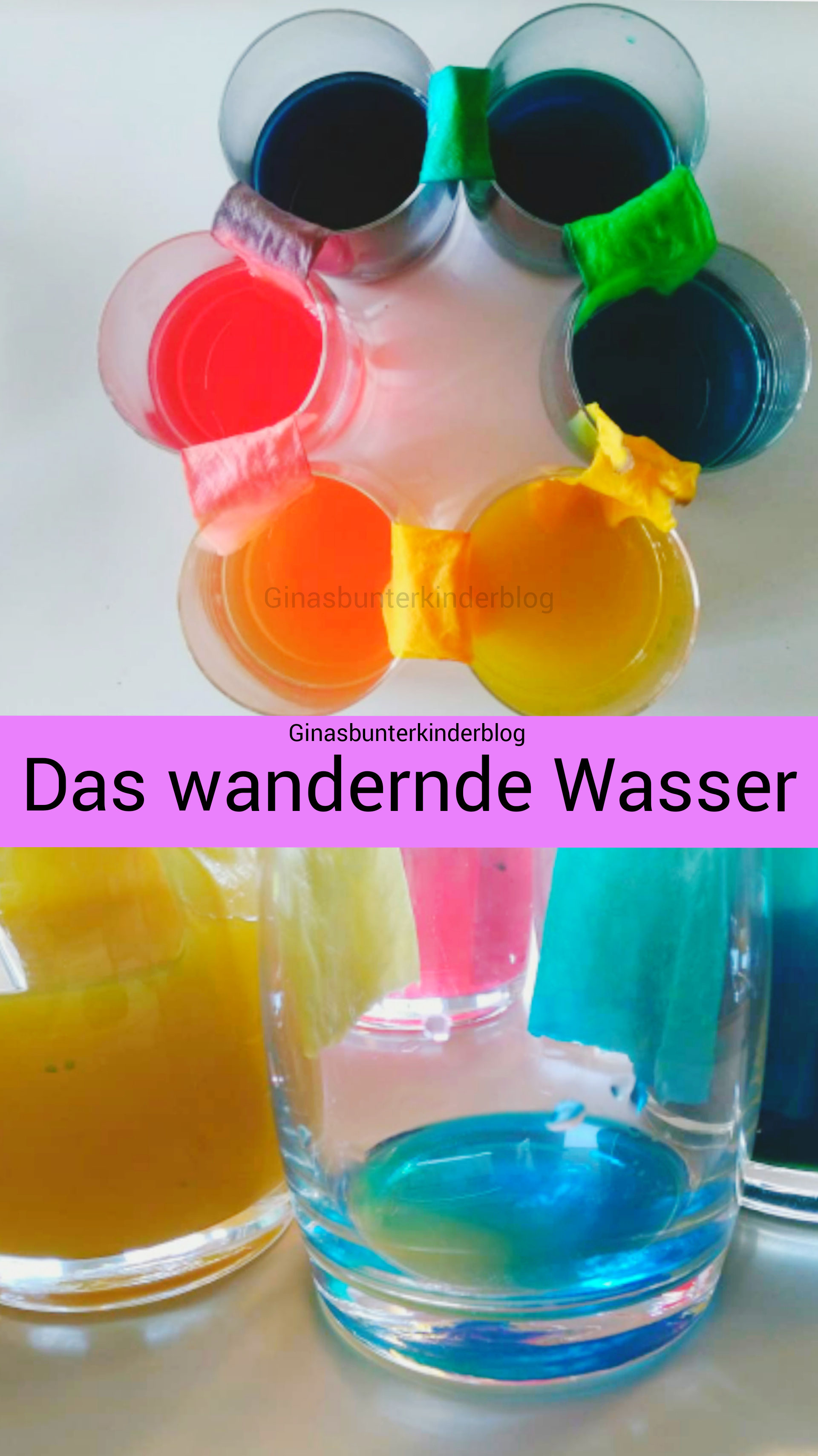 Das wandernde Wasser - Experiment für Kinder - Ginas bunter Kinderblog ...
