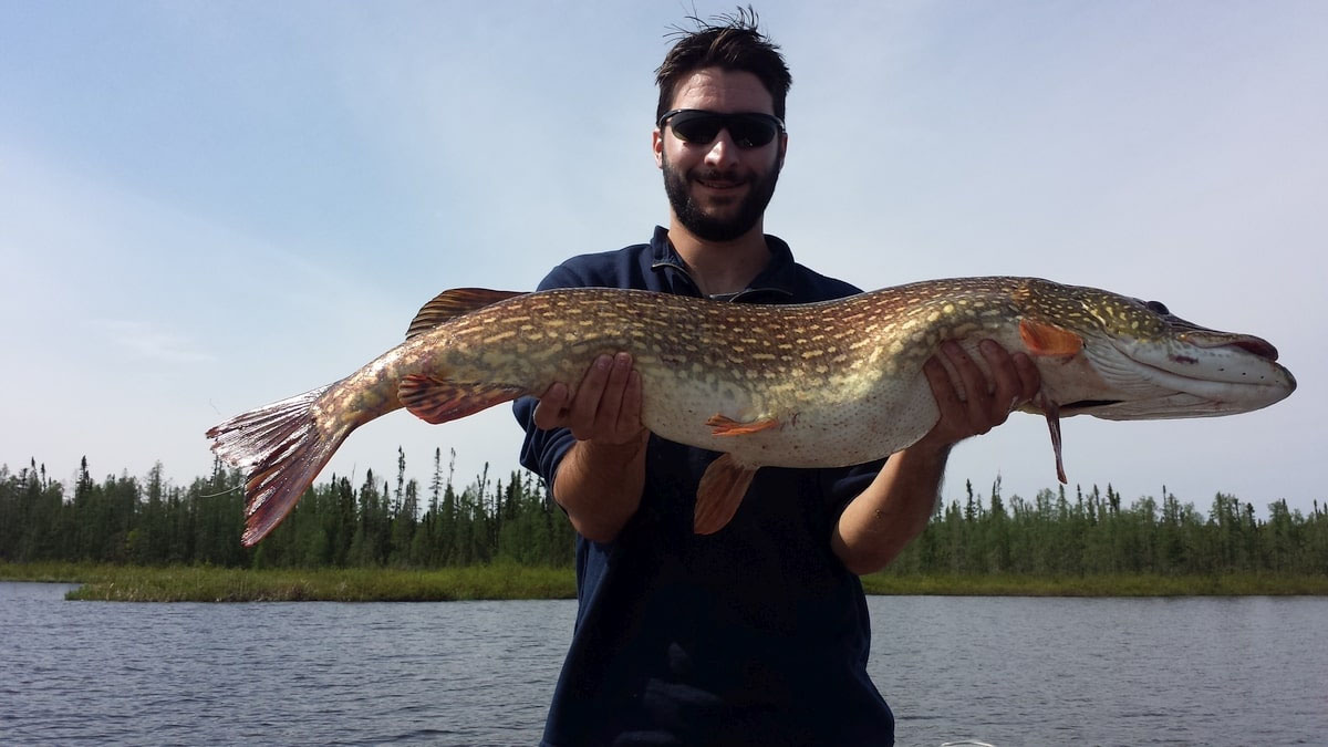 Image Gallery - Pickle Lake Outposts - Ontario Fly-In Fishing