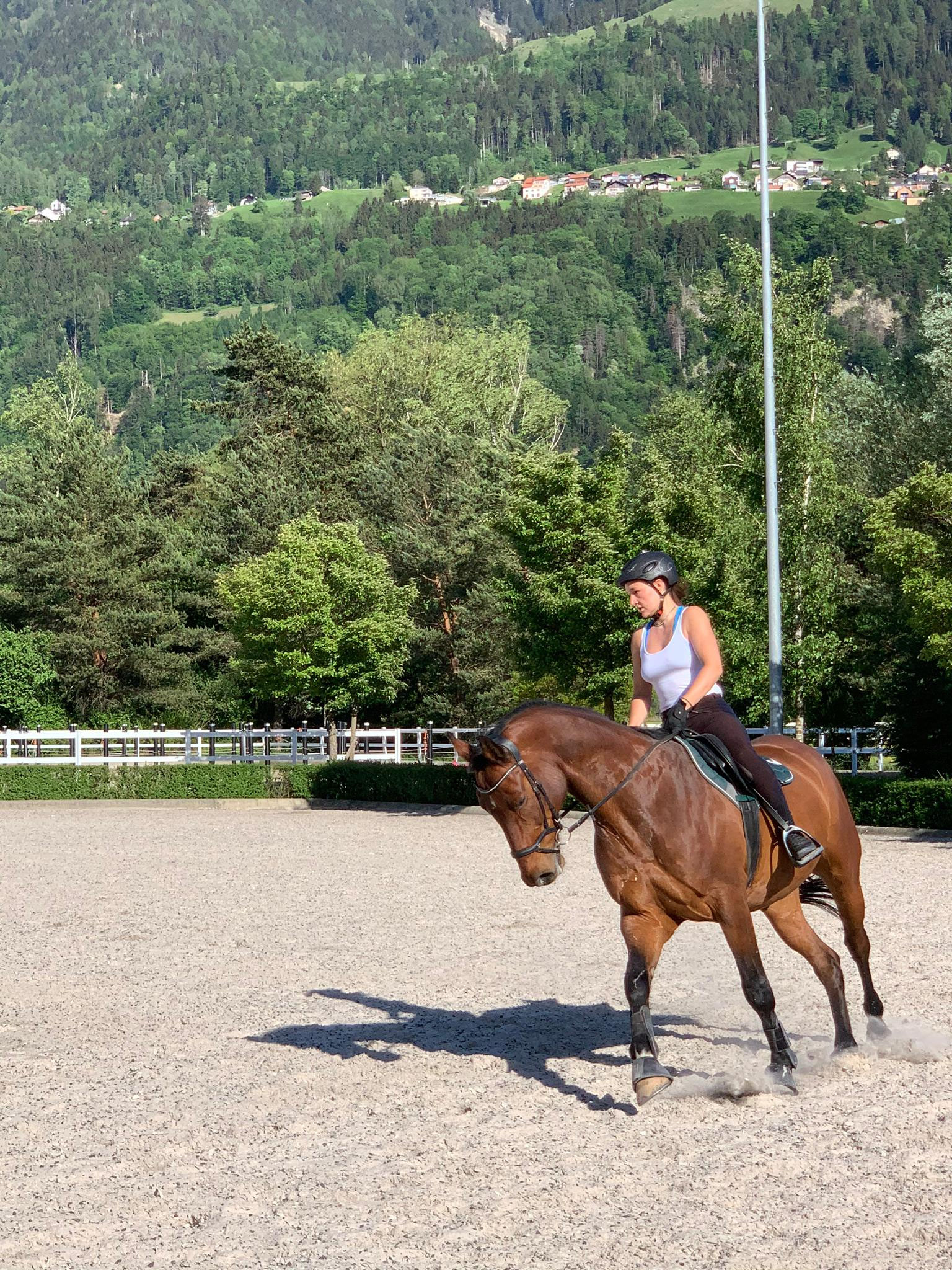 Caprilli vom Kappensand '11 - www.gestuet-kappensand.ch