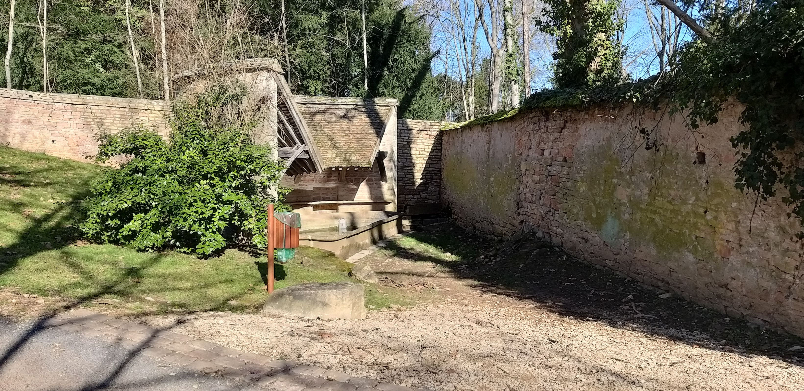 8 fevrier - Site de bonpiedbonoeil2022