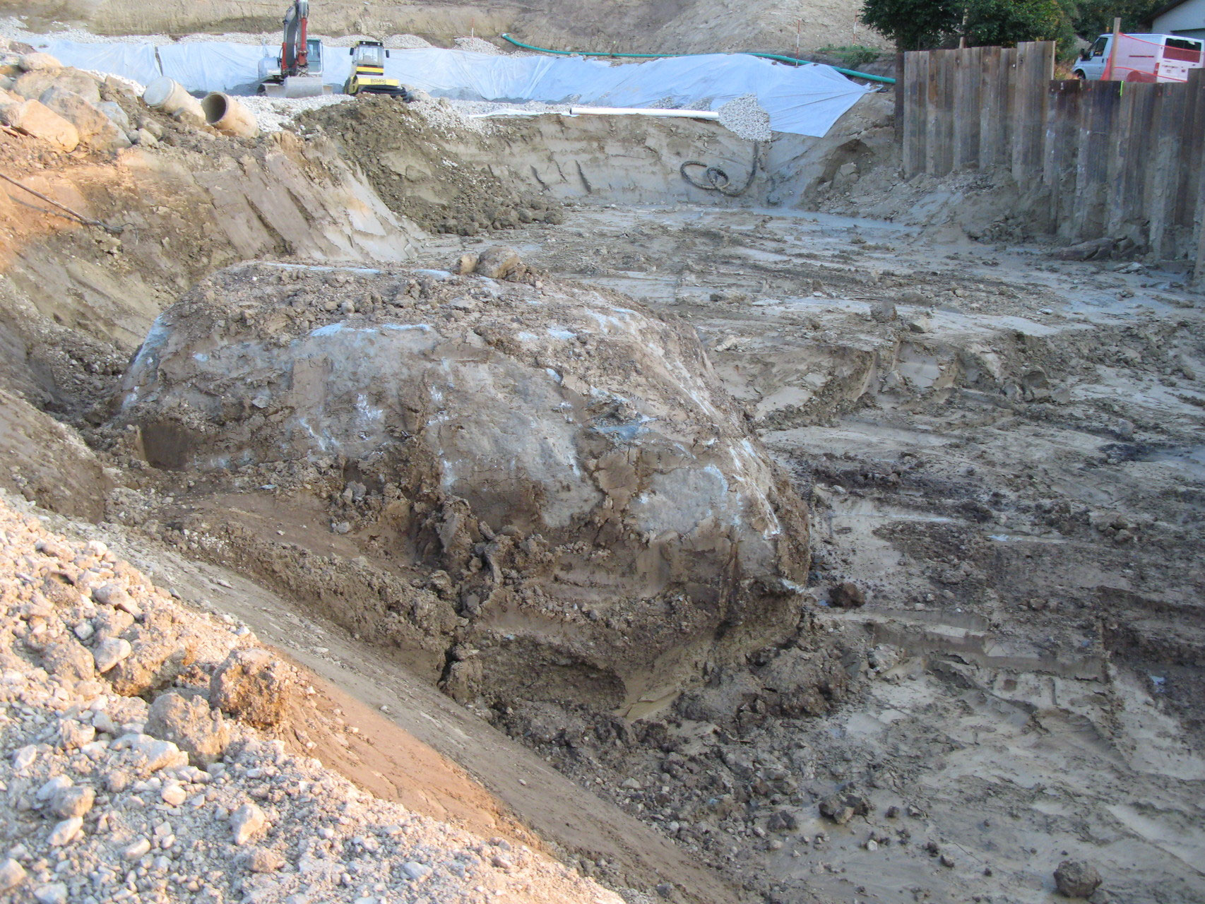 Findling Matte Safnern - www.burgergemeinde-safnern.ch