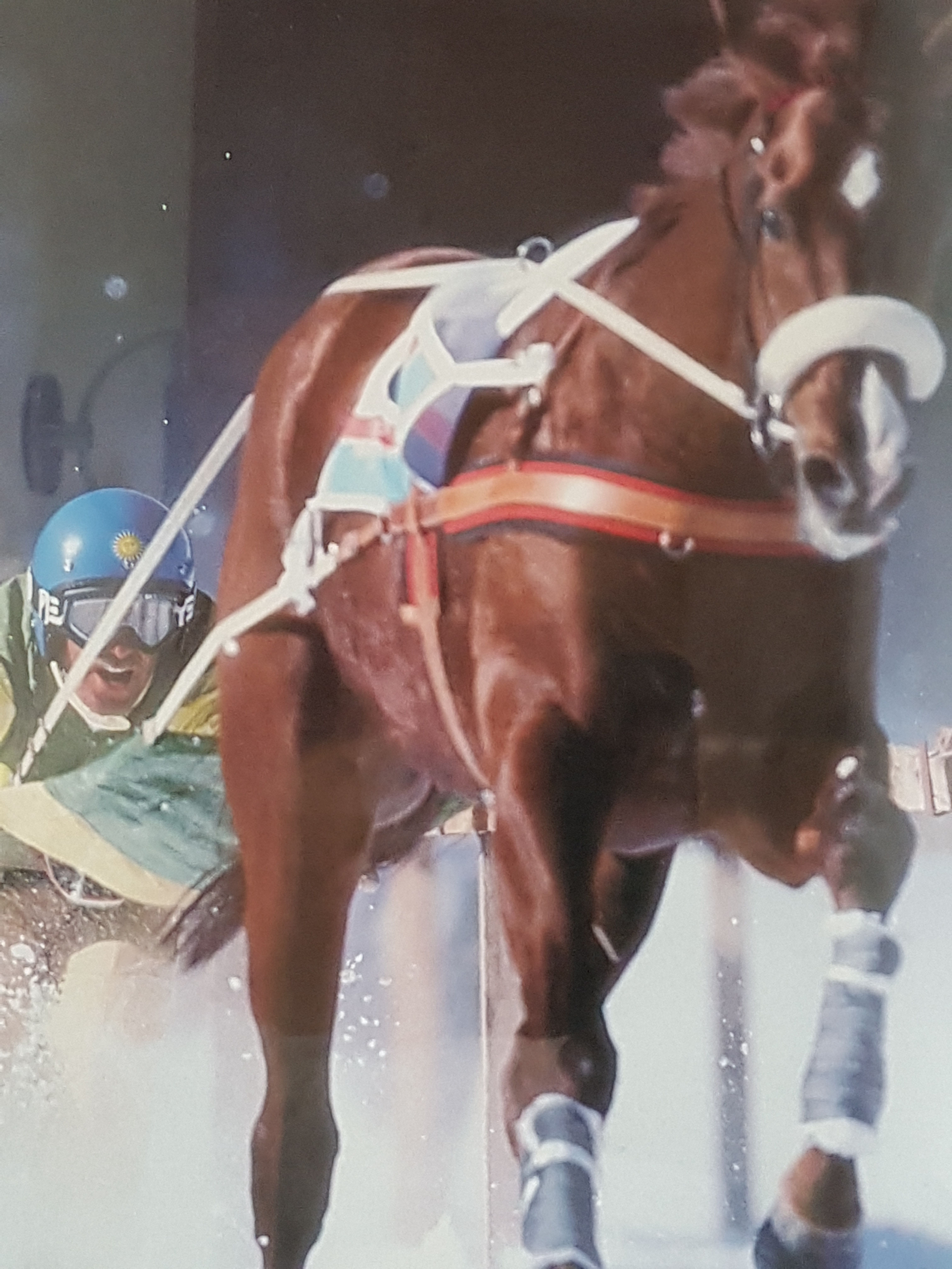 Credit Suisse Trophy Skikj ring