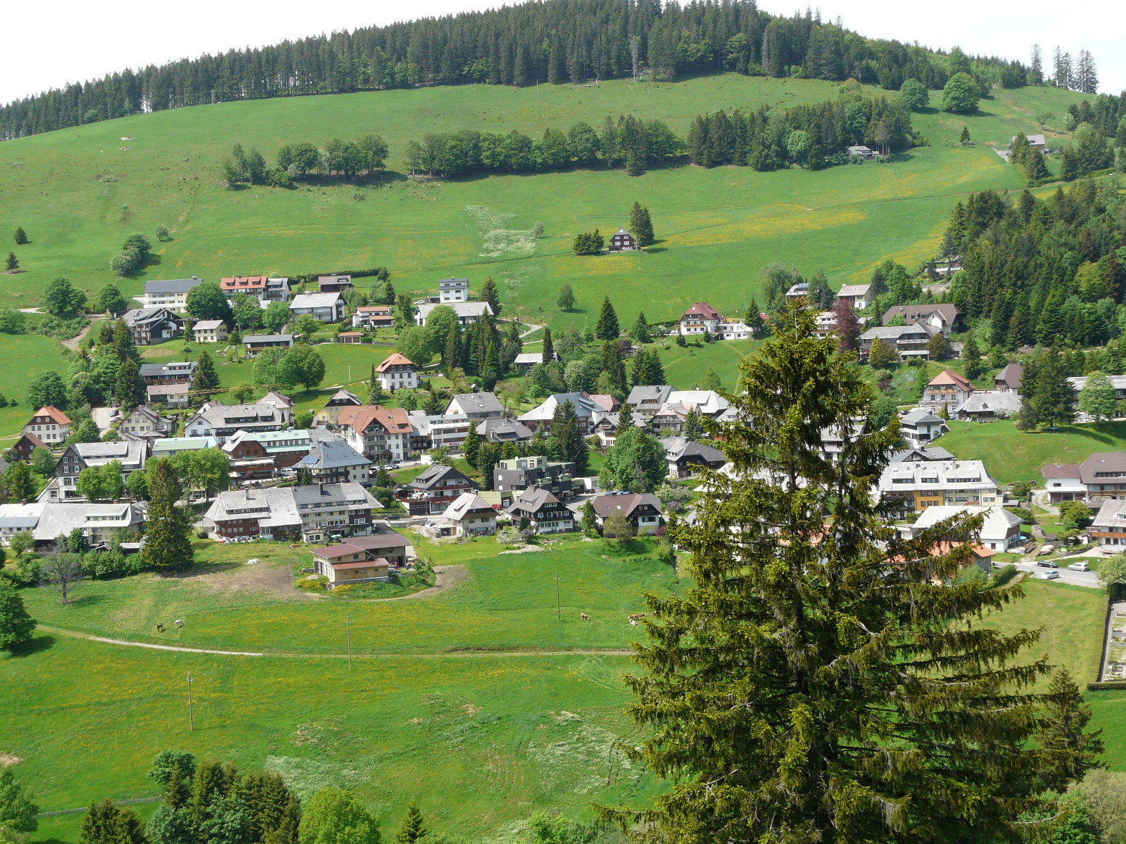 Ortsbeschreibung - Haus Hasenhornblick - Todtnauberg