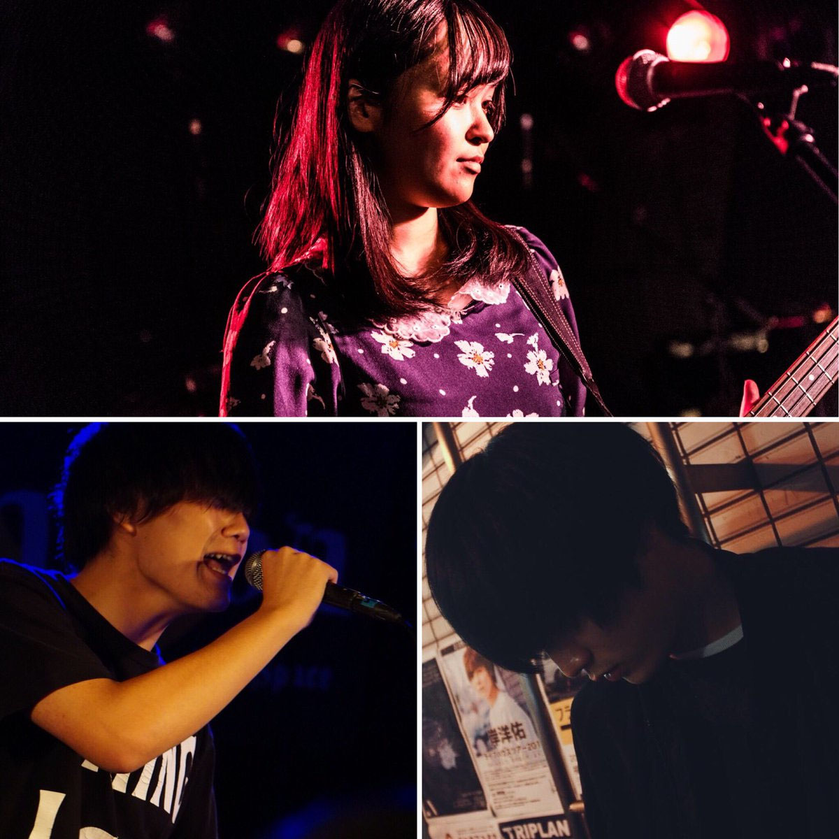 PROJECT HALLEY - project-halley ページ！