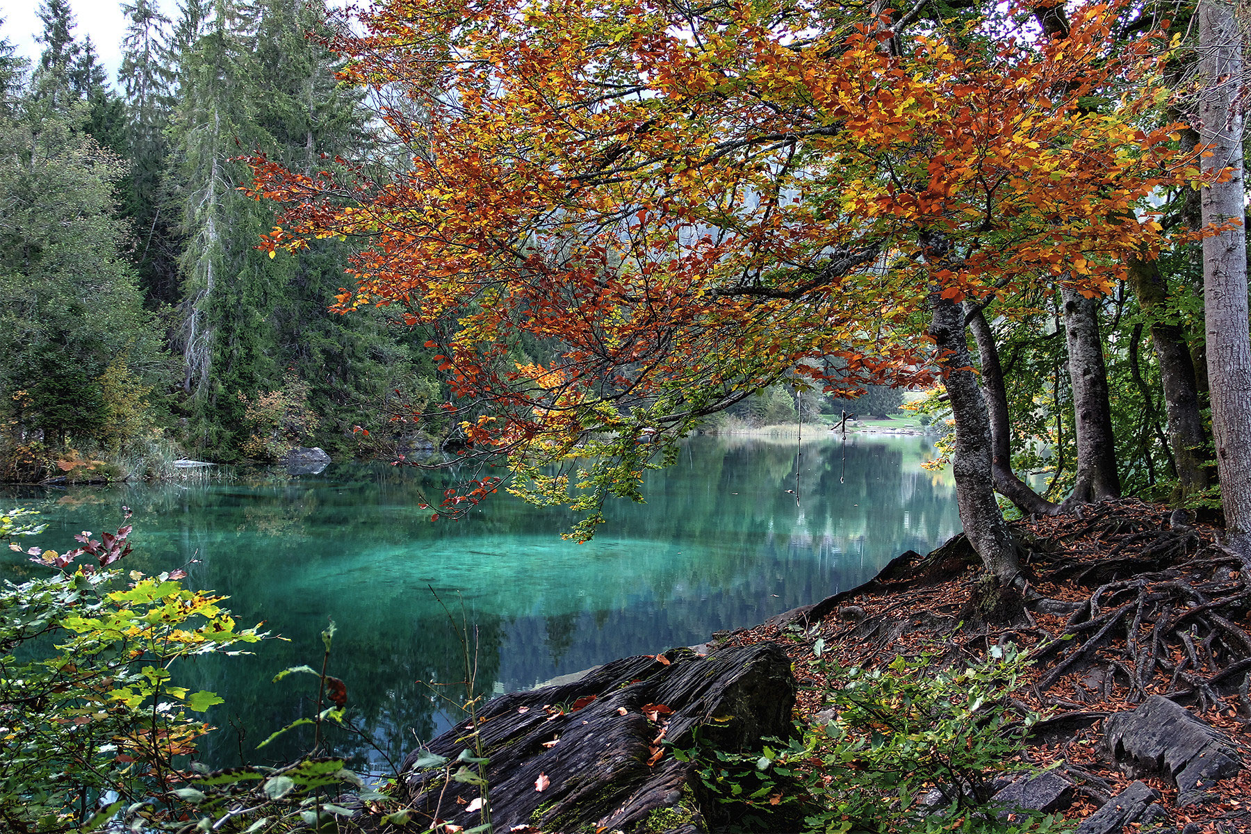 NATUR UND LANDSCHAFT - Fotografien