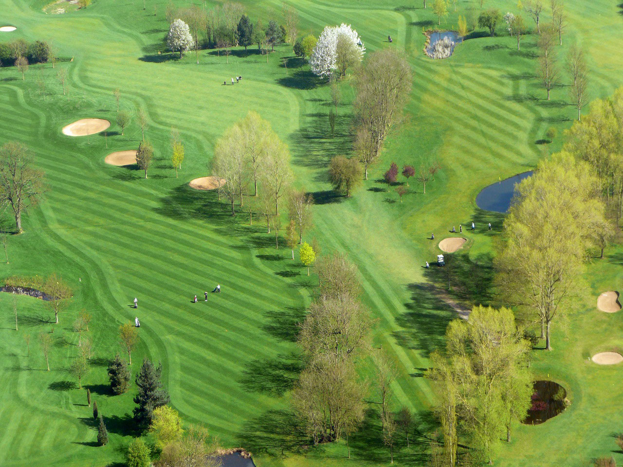 Whetstone Golf Club is a picturesque parkland course, set in the heart ...
