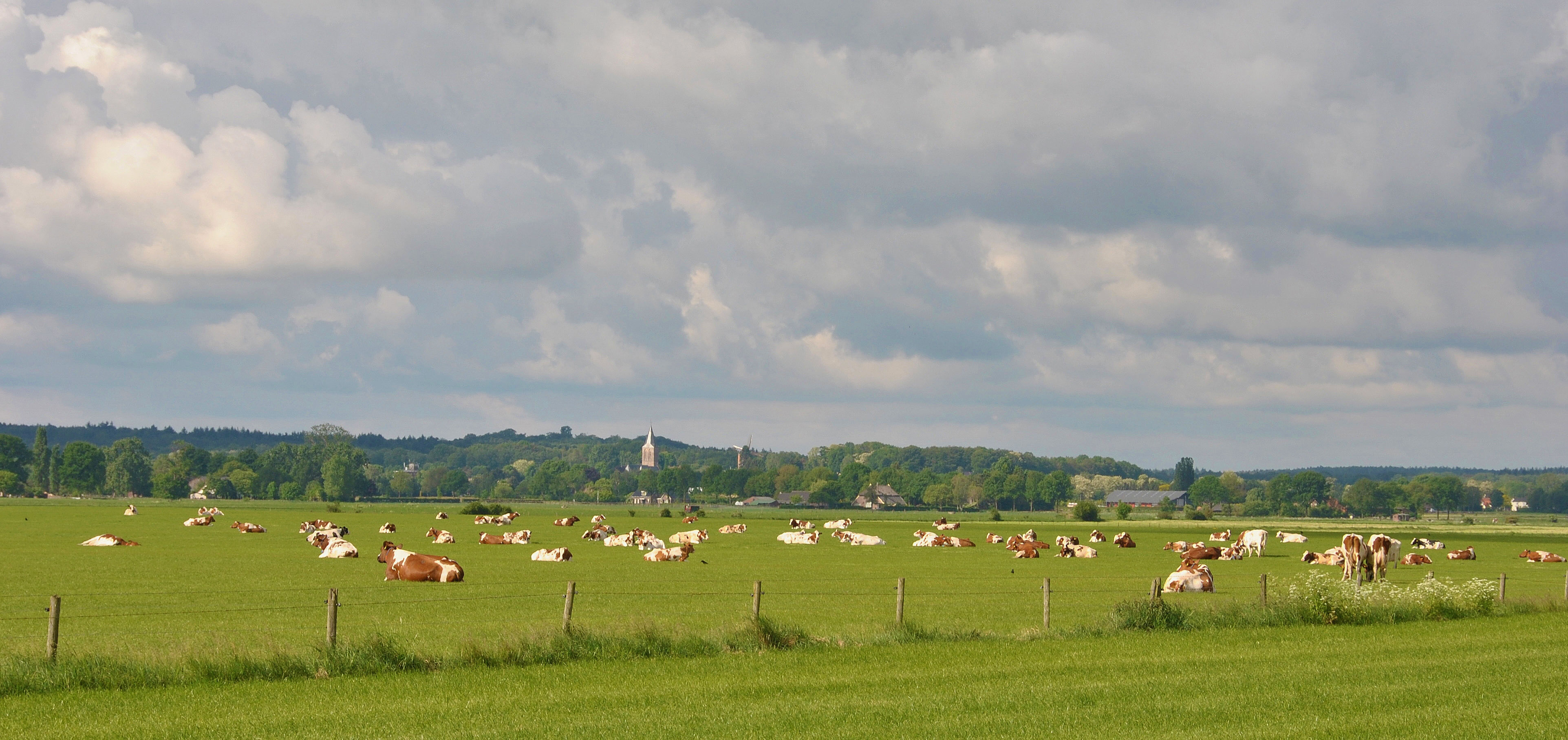 Fotowedstrijd Montferland.. Het Landschap - Montferland Cultuurfonds