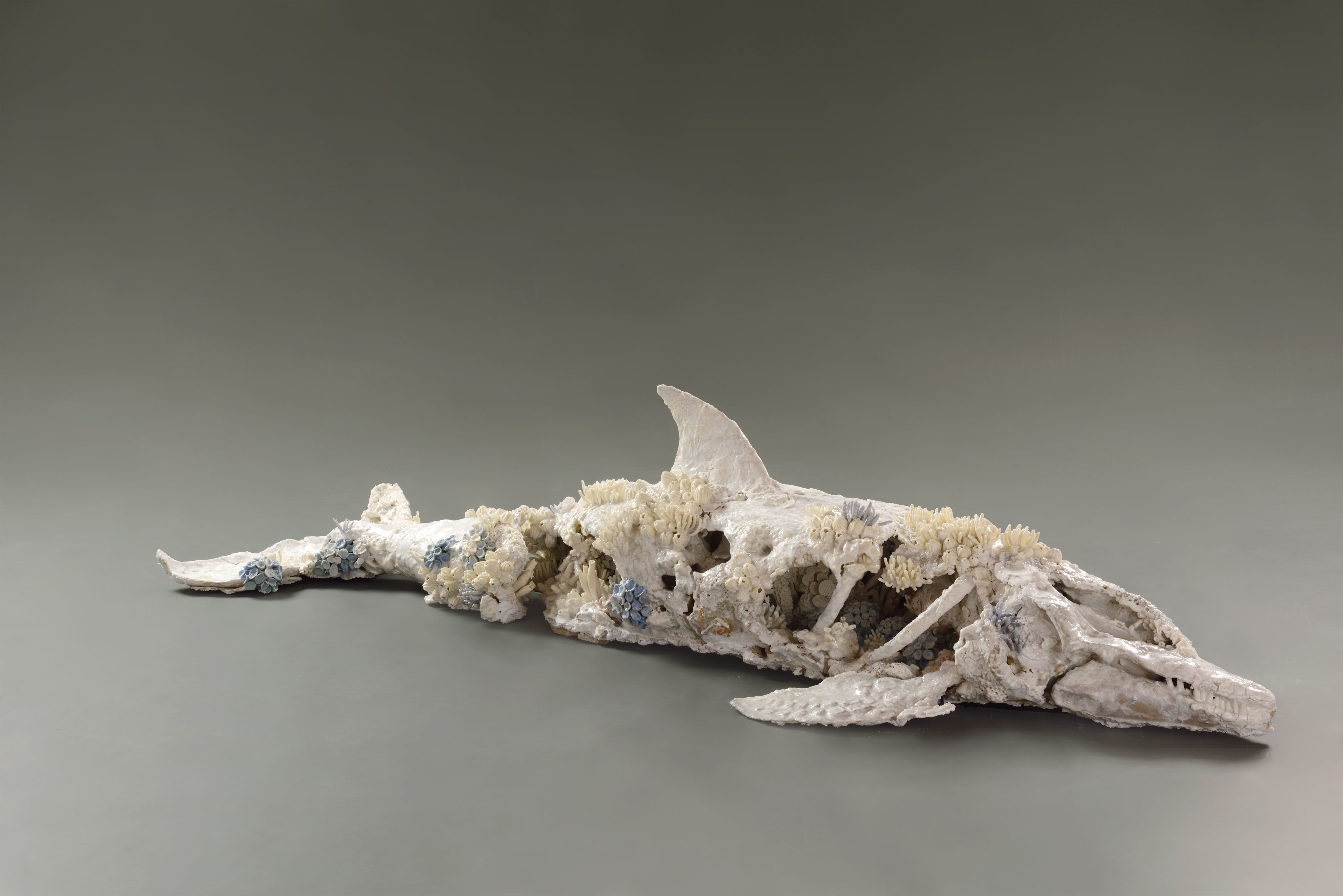 Rebirth from Falling - Christine Yiting Wang