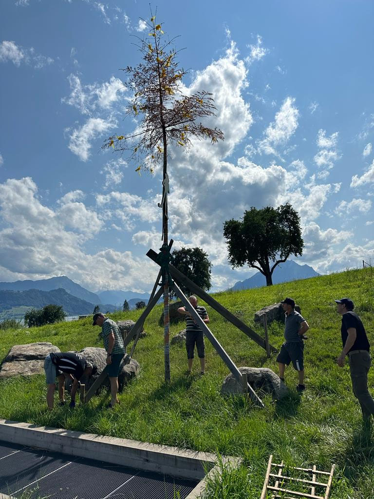 Bäumliabräumen ZM23 - Fröschenzunft Meggen
