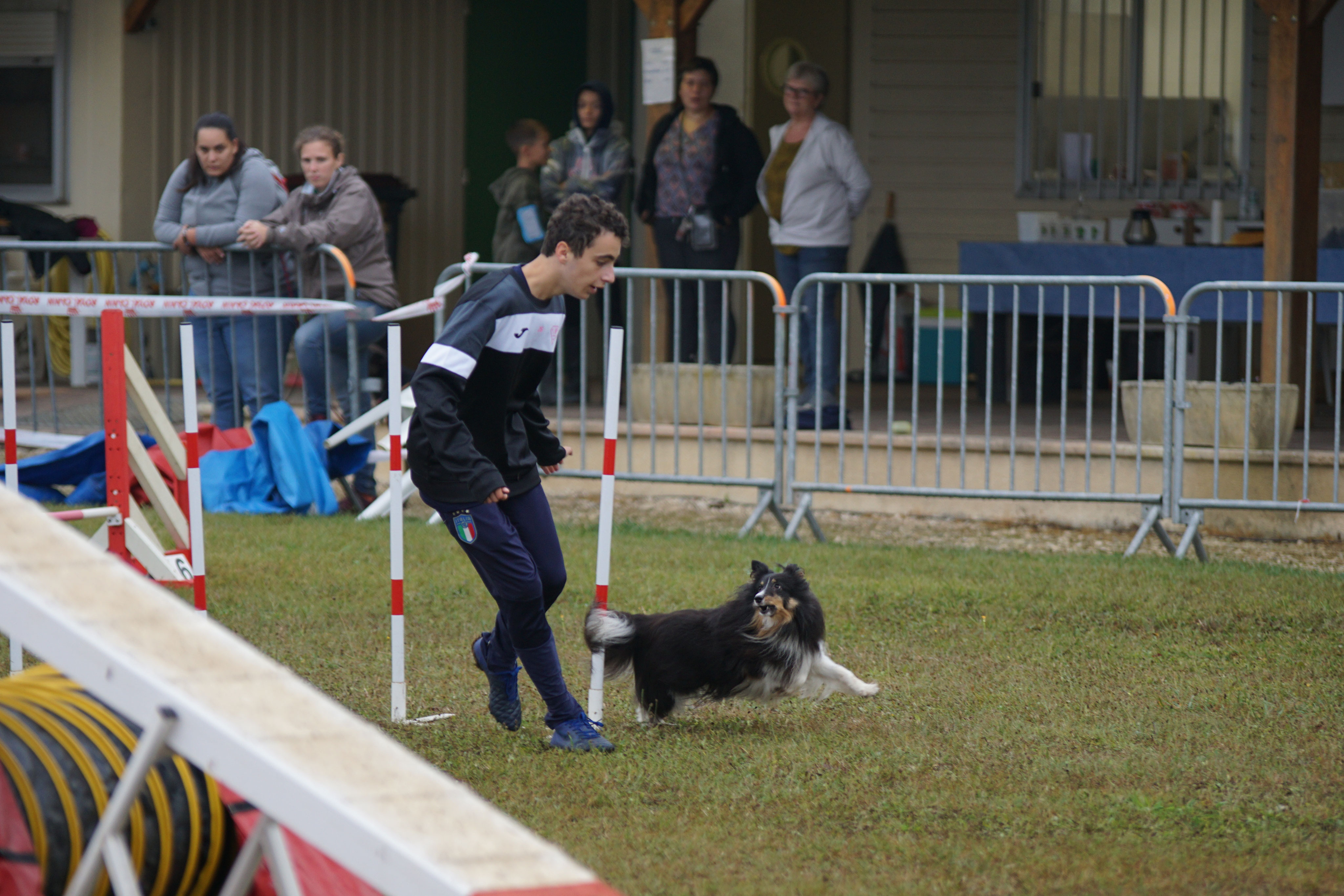 CCEAC16 Agility - Club Canin Education et Activités Canines CCEAC16