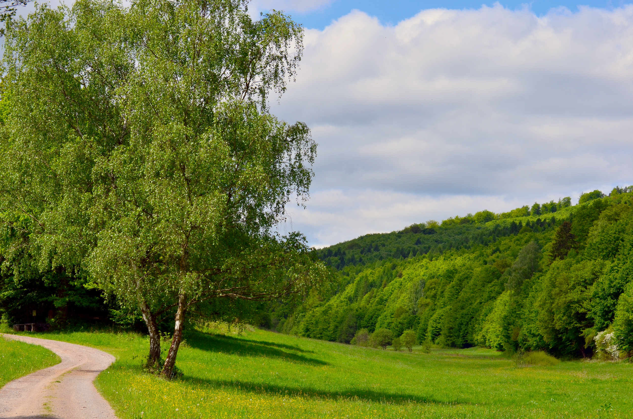 Willkommen in unserer Heimat - Breitenbacher-Hof Landgasthaus in Bebra