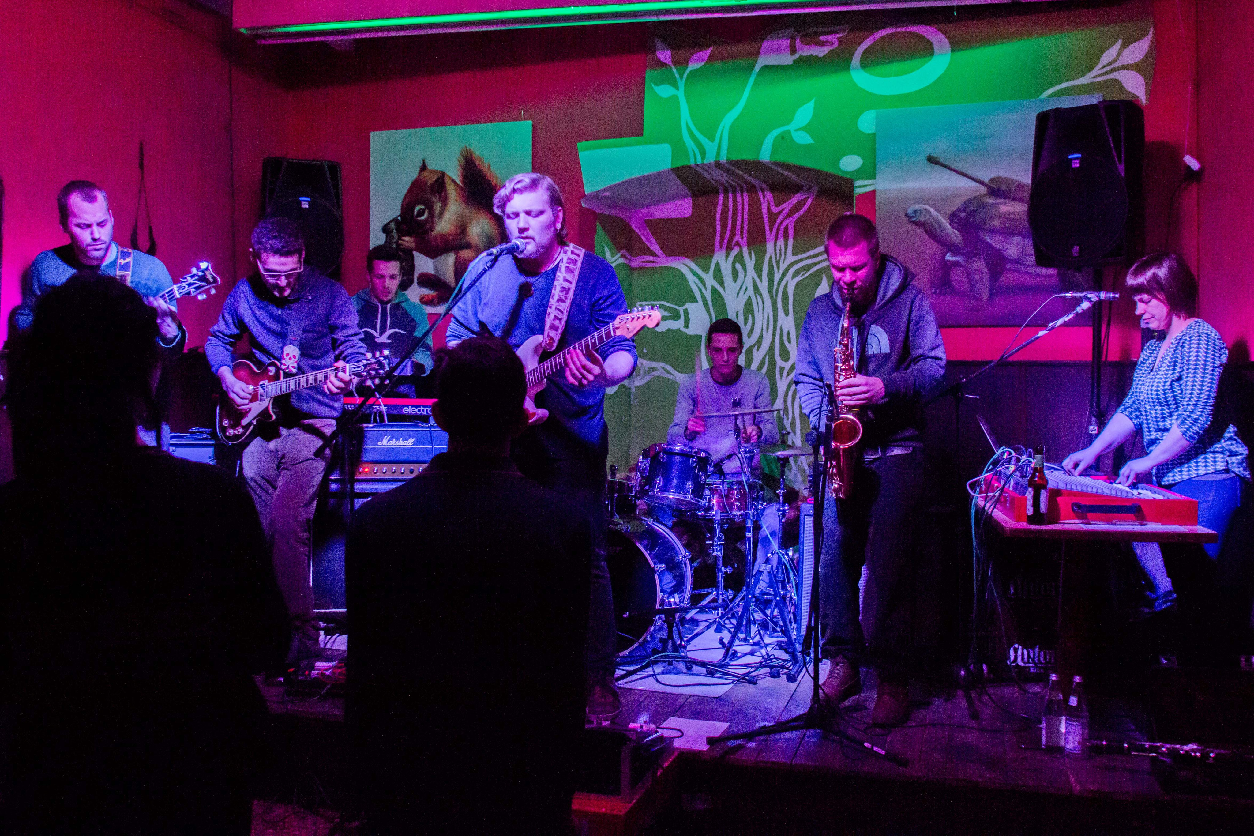 The Koalas - Psychedelic Reggae - thekoalass Webseite!