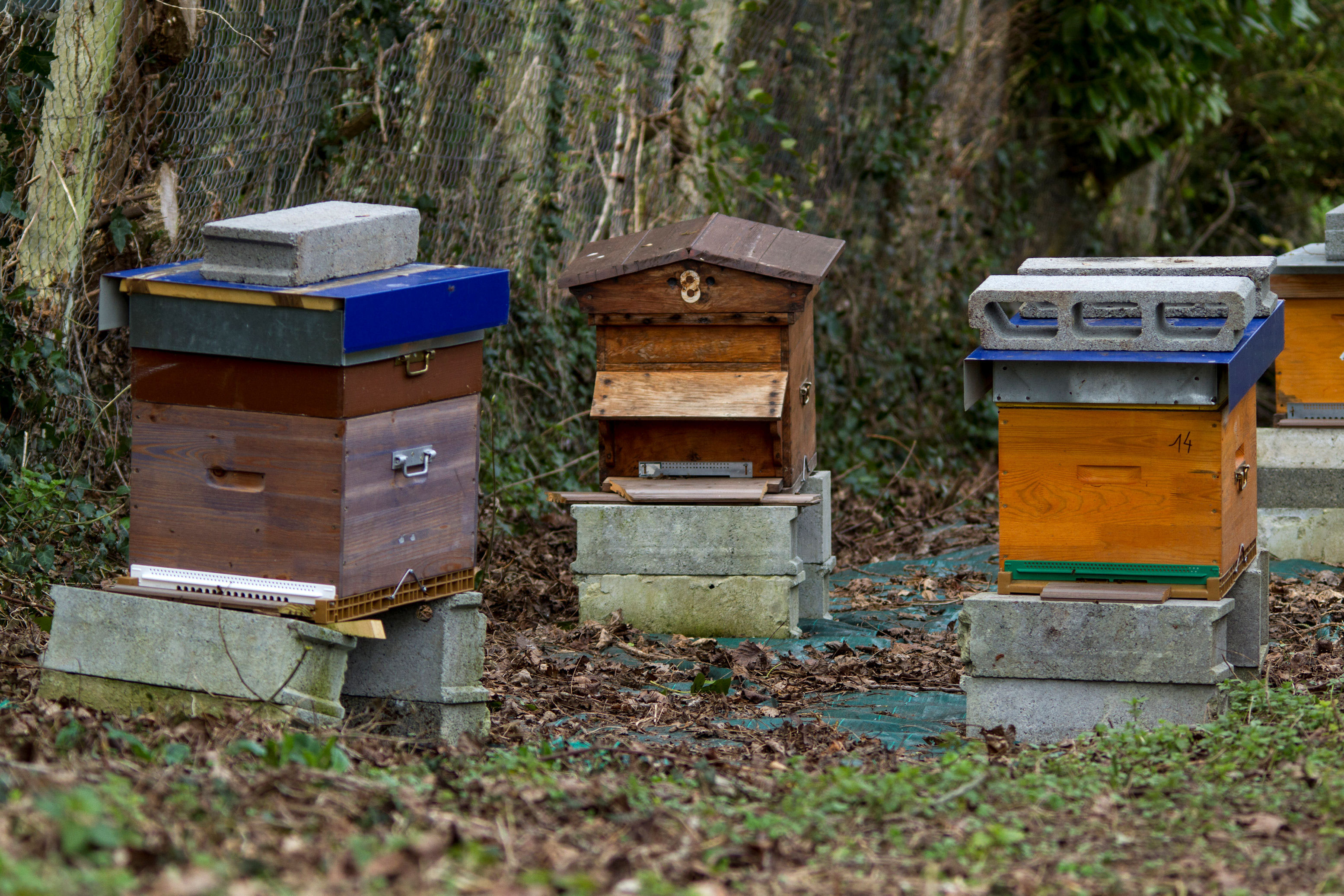Au Rucher - Site de Les Jardins de la Douvette