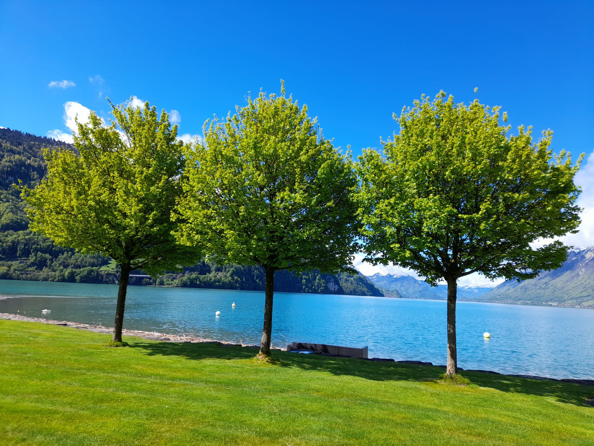 Strandbad Brienz Startseite - strandbadbrienzs Webseite!