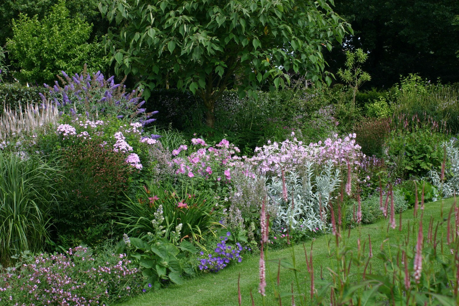 Plant Comfort - Online vaste planten bestellen