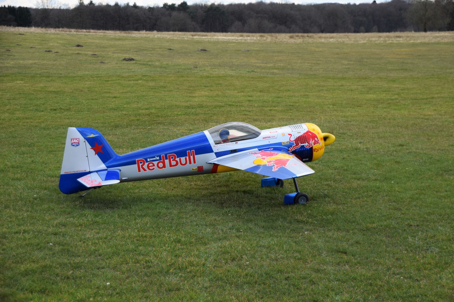 Yak 55 SP von Carf - Modellfluggruppe Eudenbach e.V.