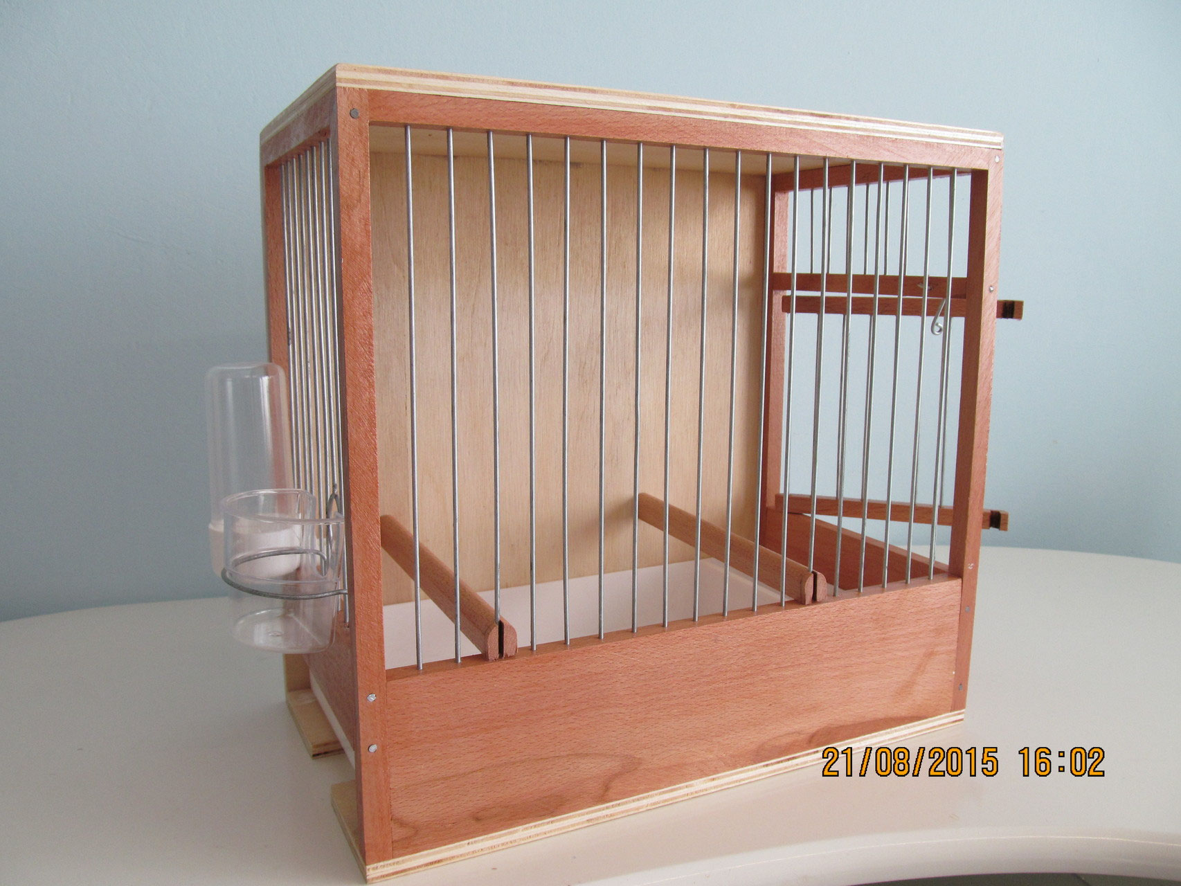 Harzer Edelroller Haunold - harzeredelroller haunold