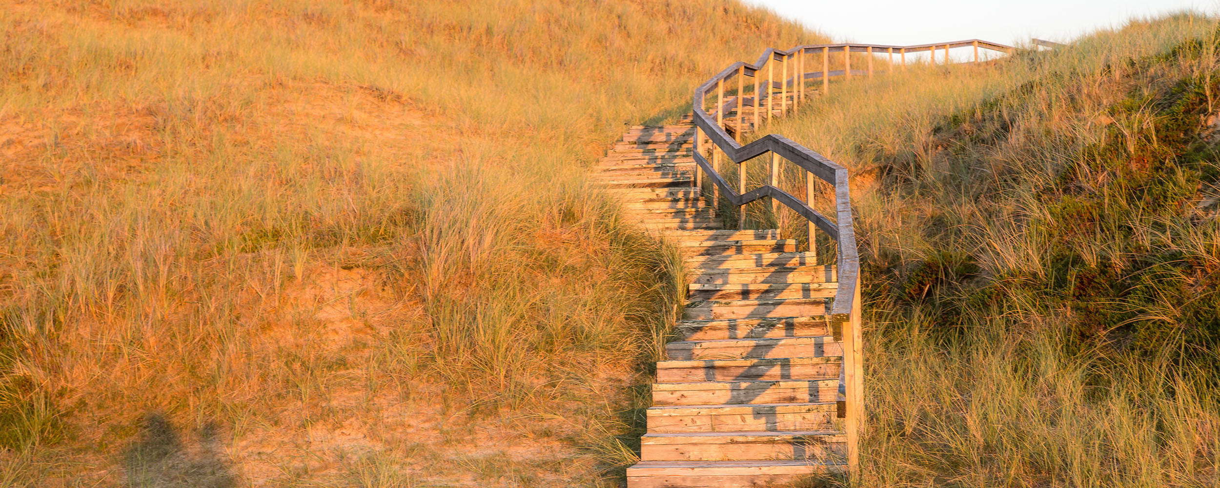 Wege - gildemann-fotografie.de