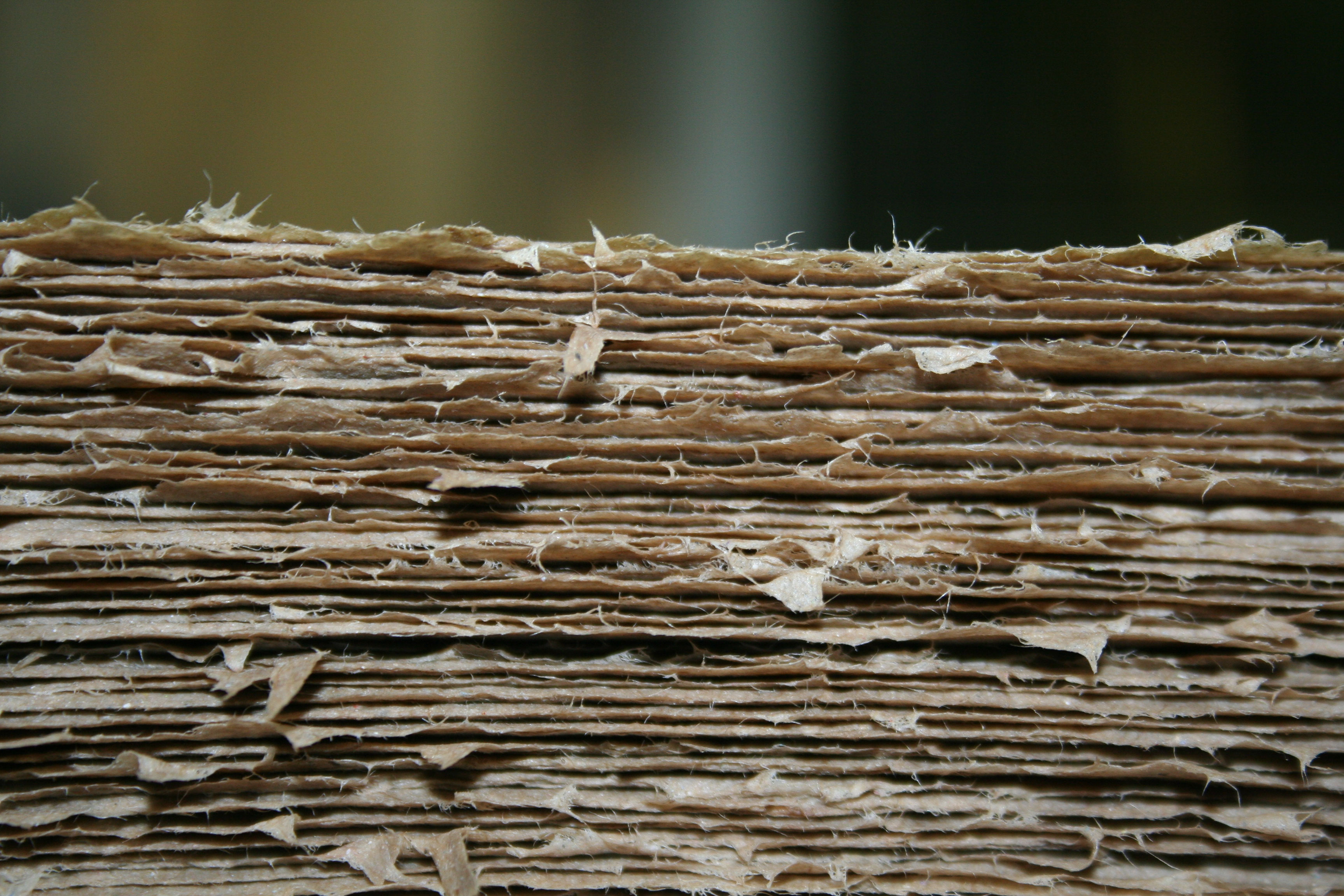 Fogli di carta riciclata, cartoncino e cartone ecosostenibili ...