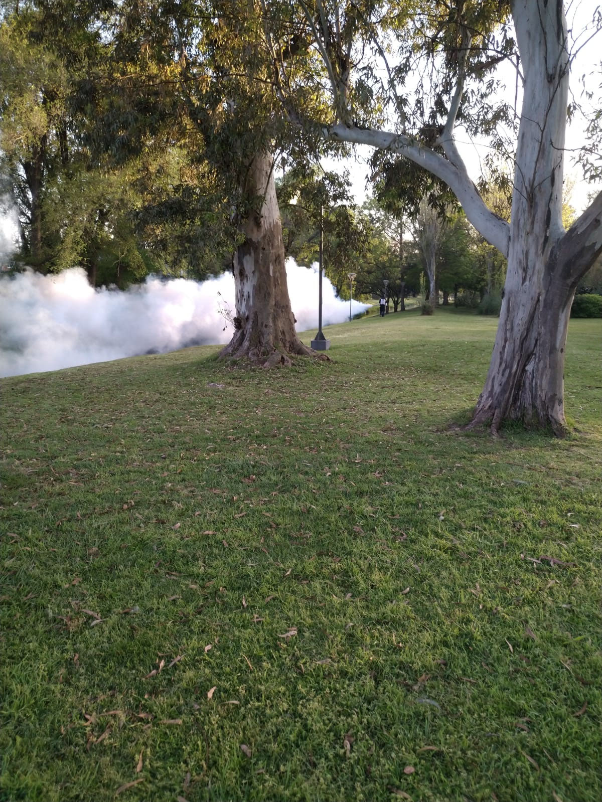 TERMONEBULIZADOR - FLP Agro Pro. Fábrica de pulverizadores ...