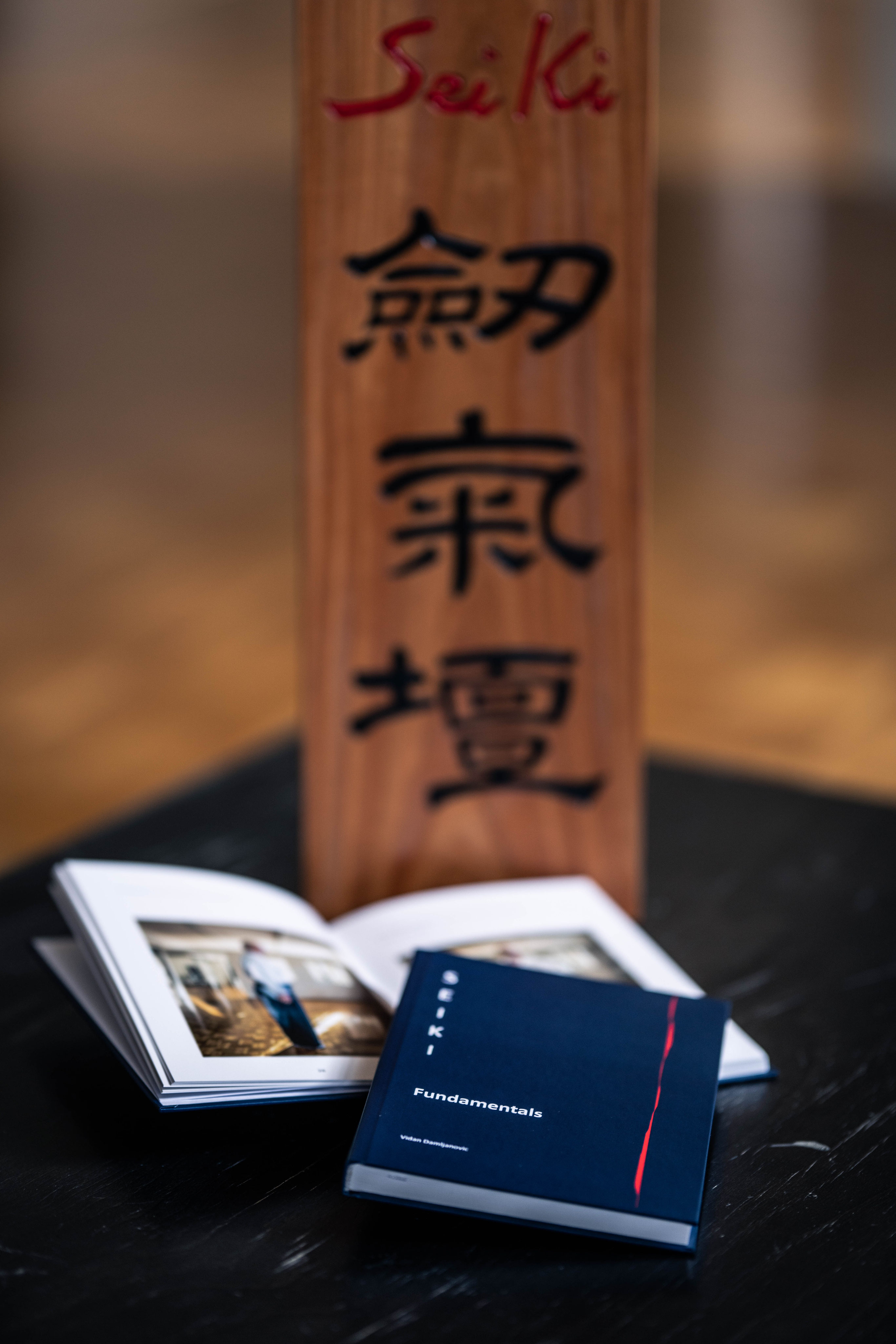 Seiki Buch / Seiki book - ken-ki-dan-hannos Webseite!