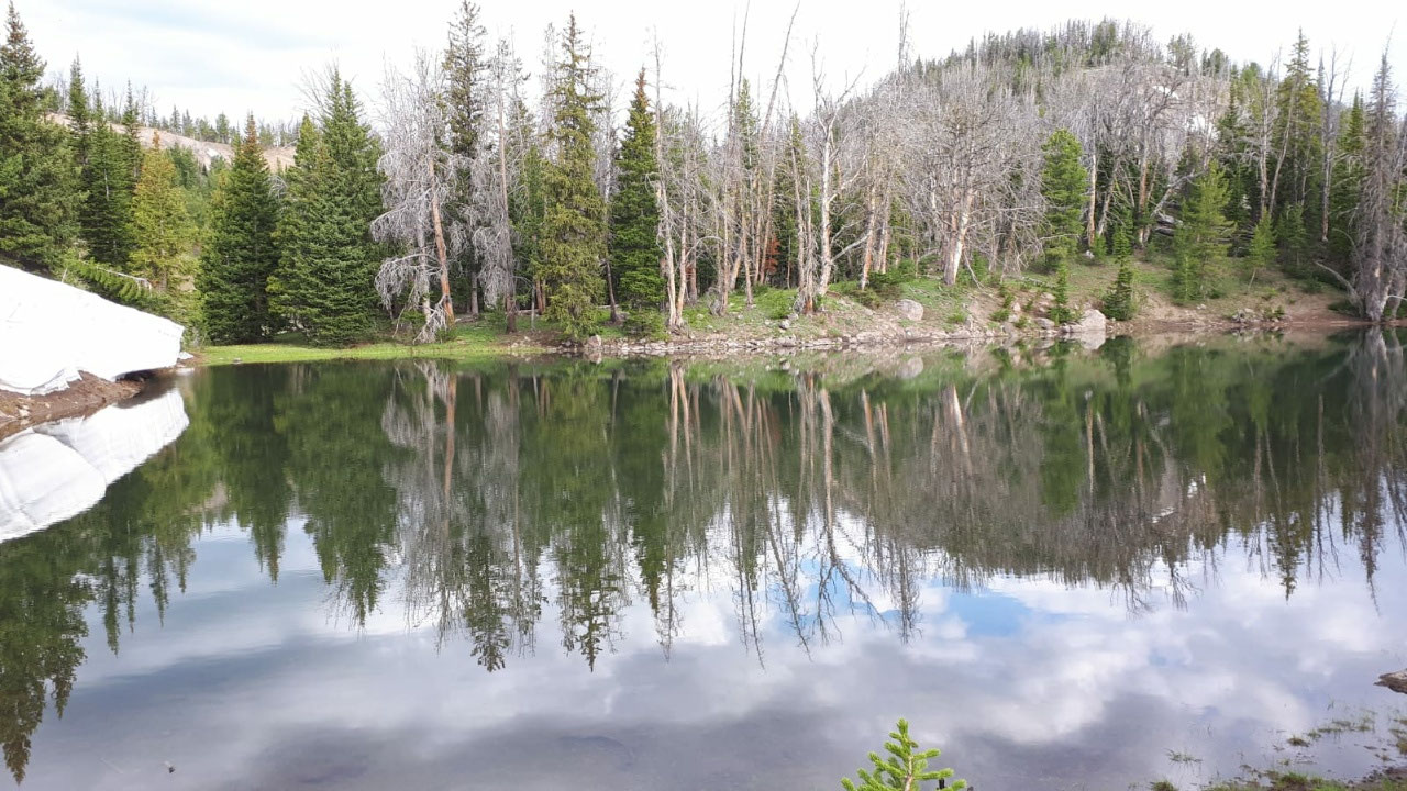 CDT 2019 - Yellowstone National Park - Skipper back on the trail
