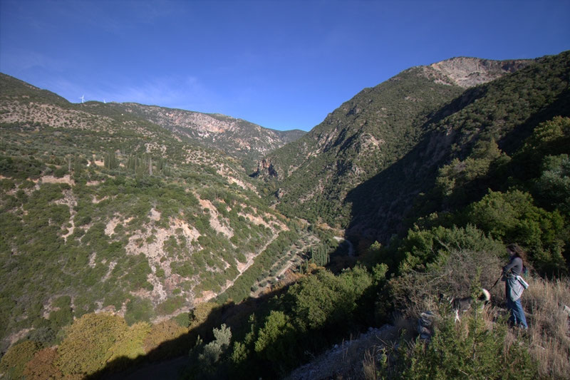 Paralia Sergoula II - Holzwandel - Kettensägenkunst