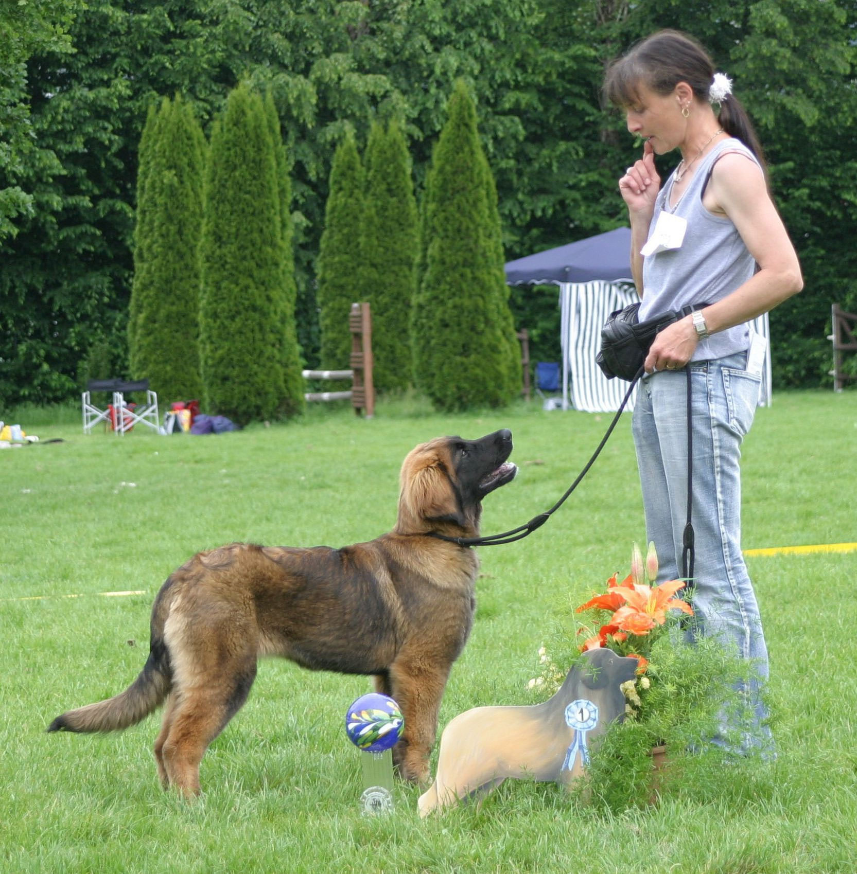 Ausstellungen Jemba - easyhopes Webseite!