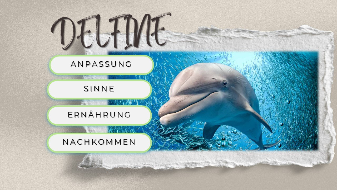 Der Delfin - schule-digital.com