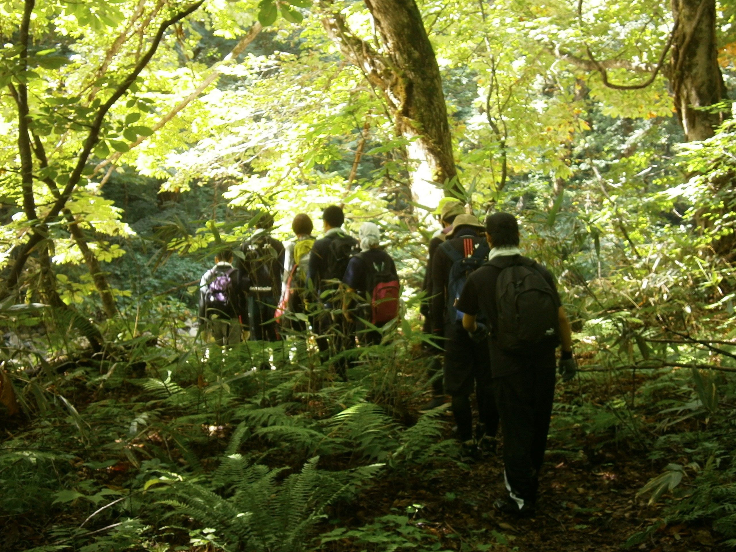 津軽白神ツアー - 【公式サイト】世界自然遺産白神山地／水陸両用バス／白神カレダ―