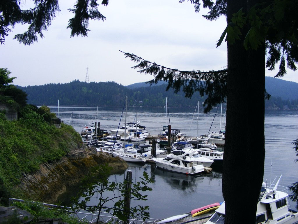Deep Cove - claire401 – Travel Blog
