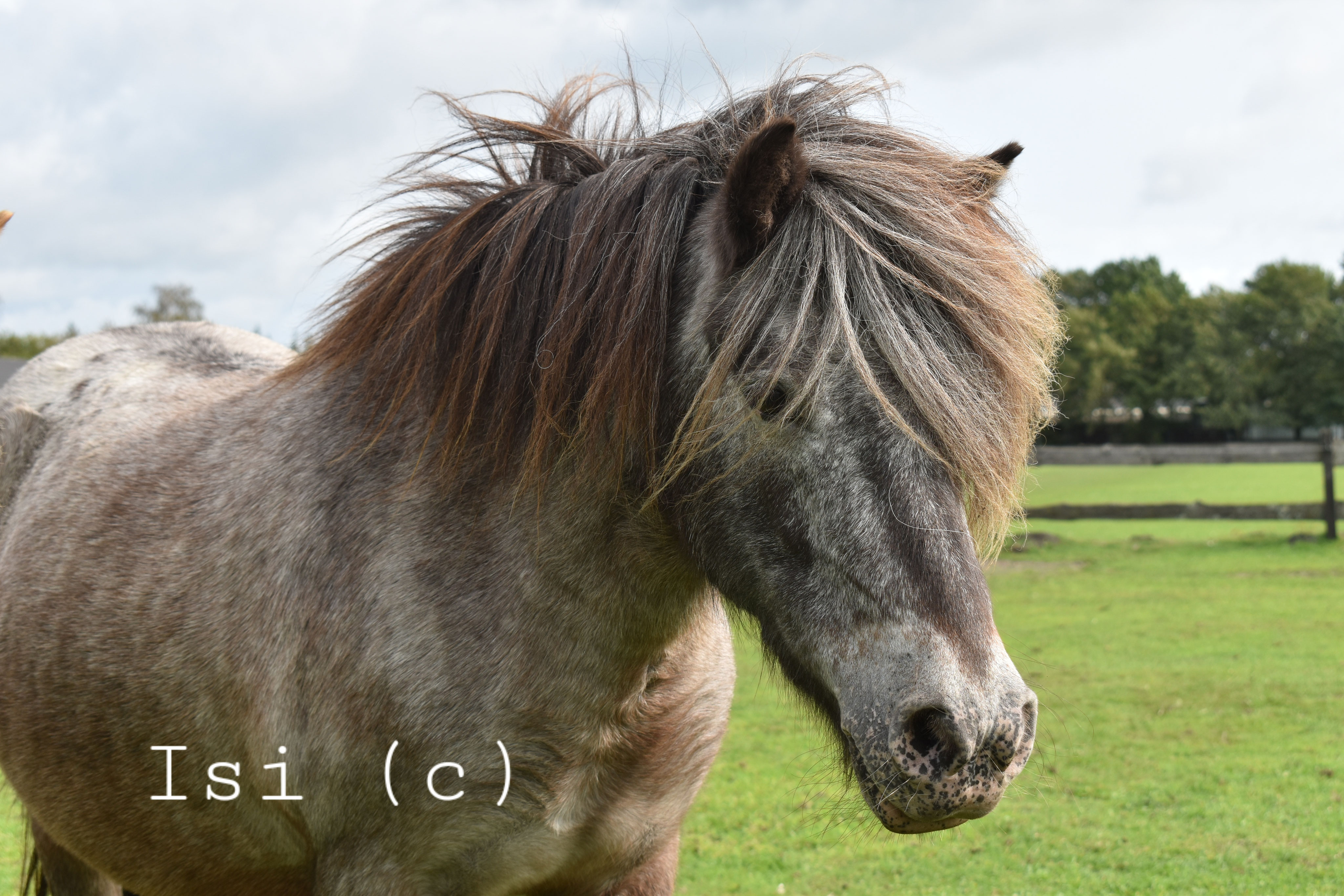 cisi - Generation Parker