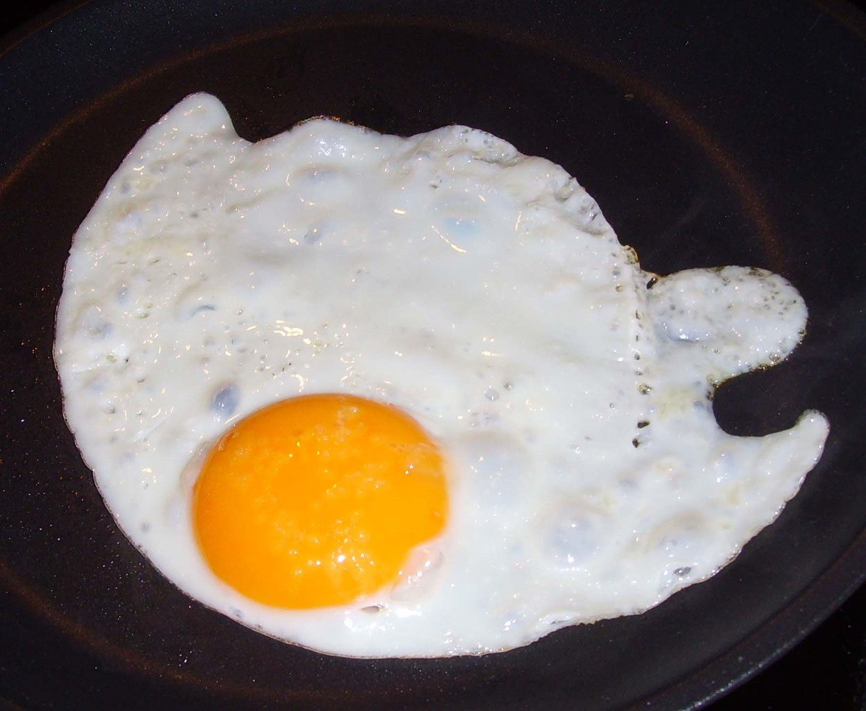 Eier-Gerichte_Omeletts & Co. - christagrafs Webseite!