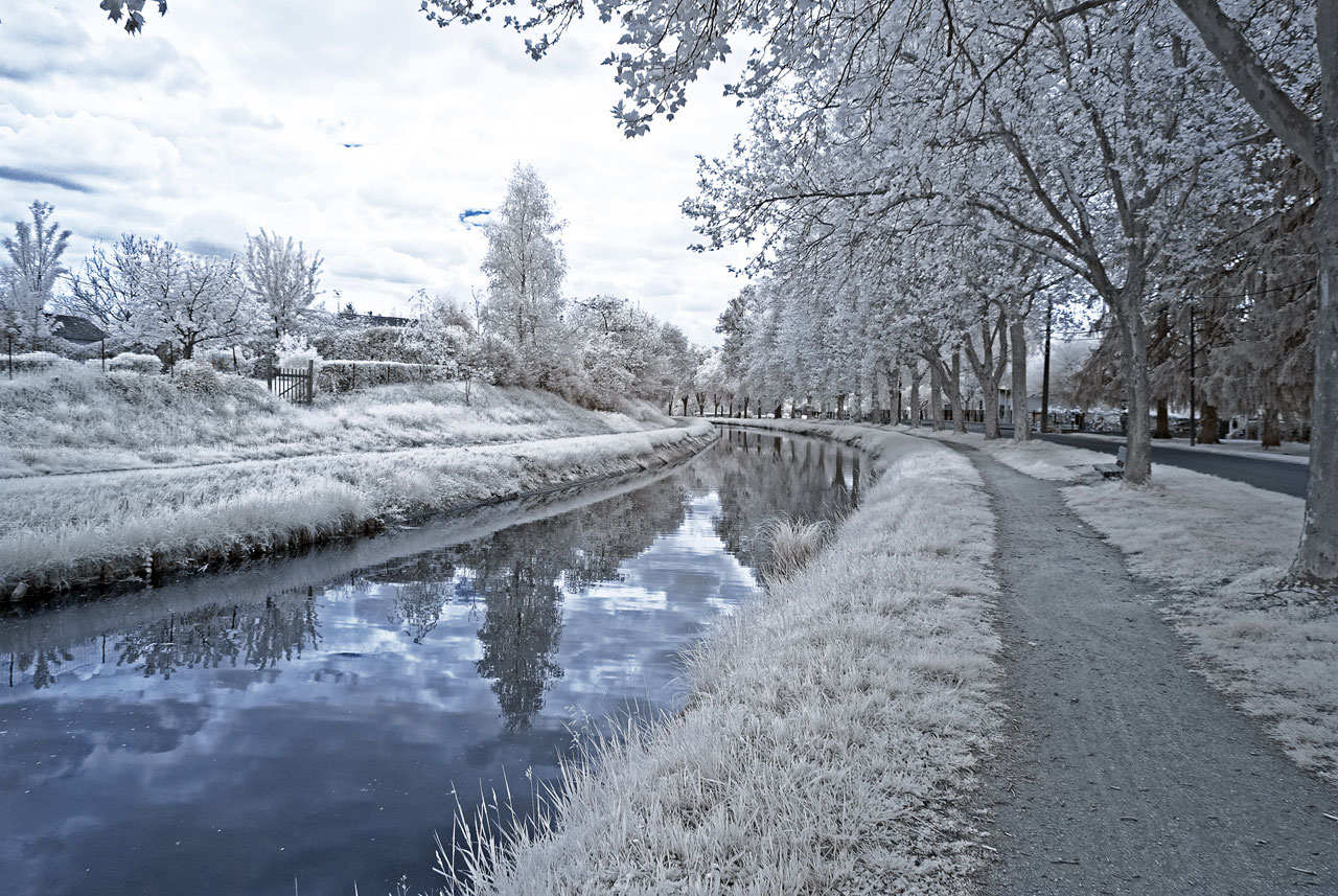 La photo Infrarouge - Site de photo18200