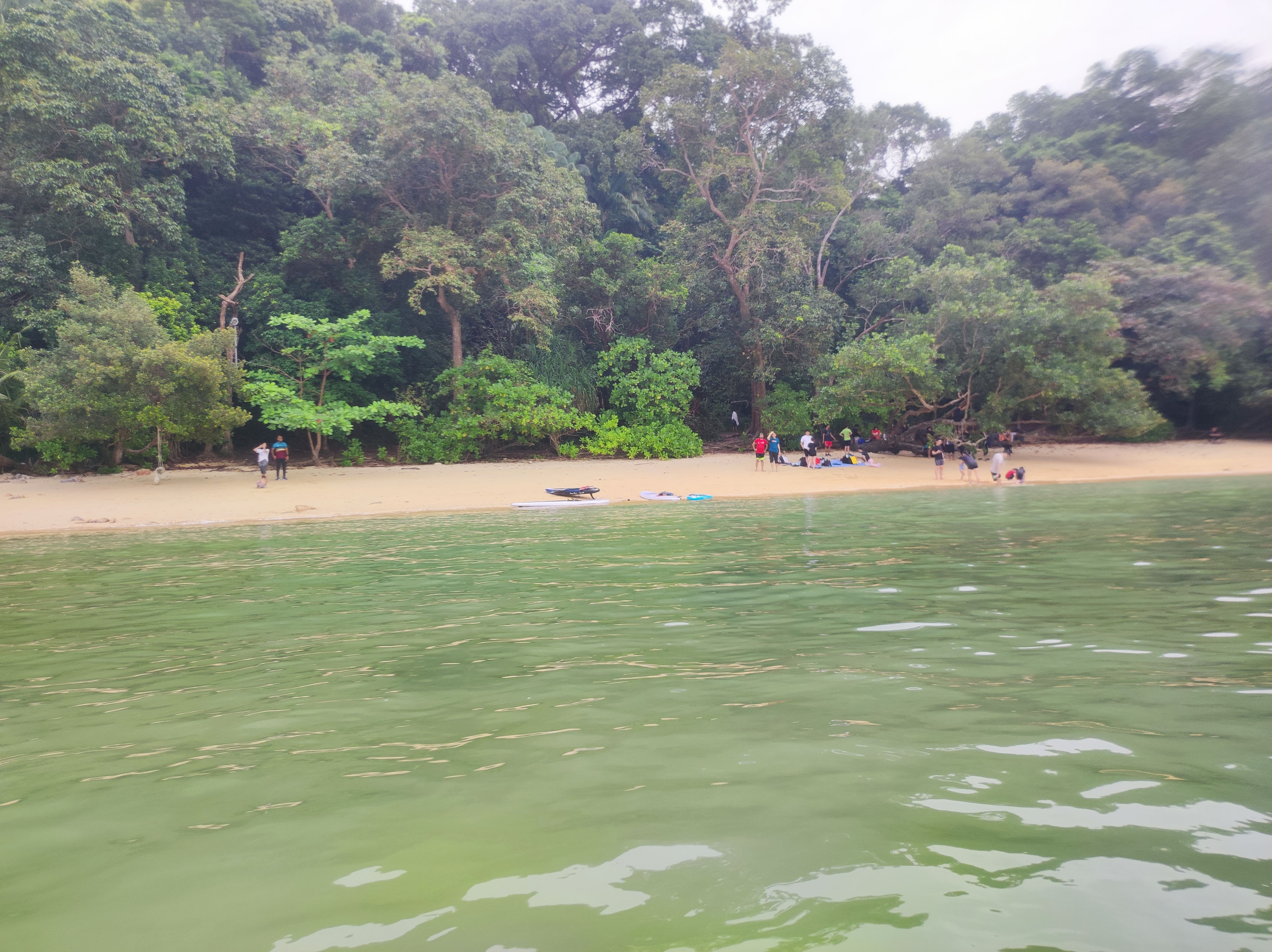 PS OWS Clinic & Training (28.09.25 ) - swimon