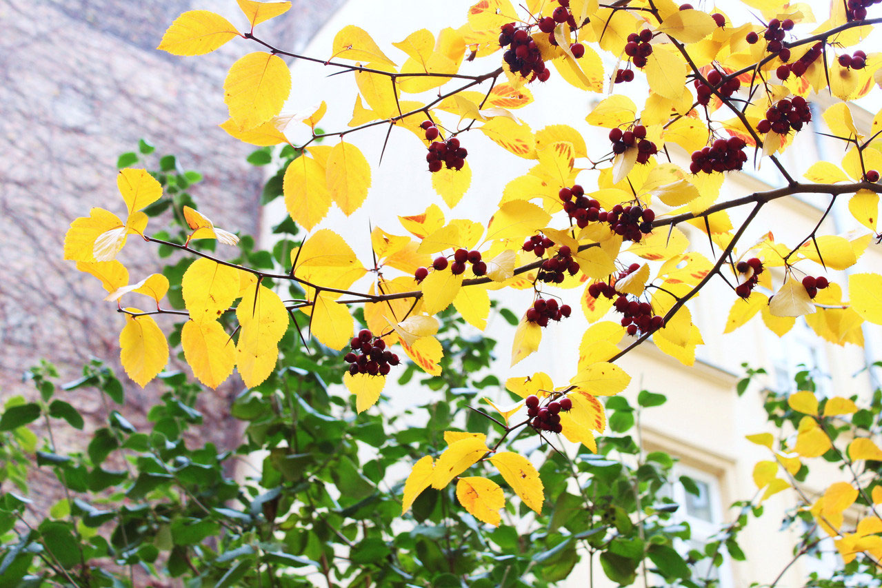 Paysage - Site de solysan