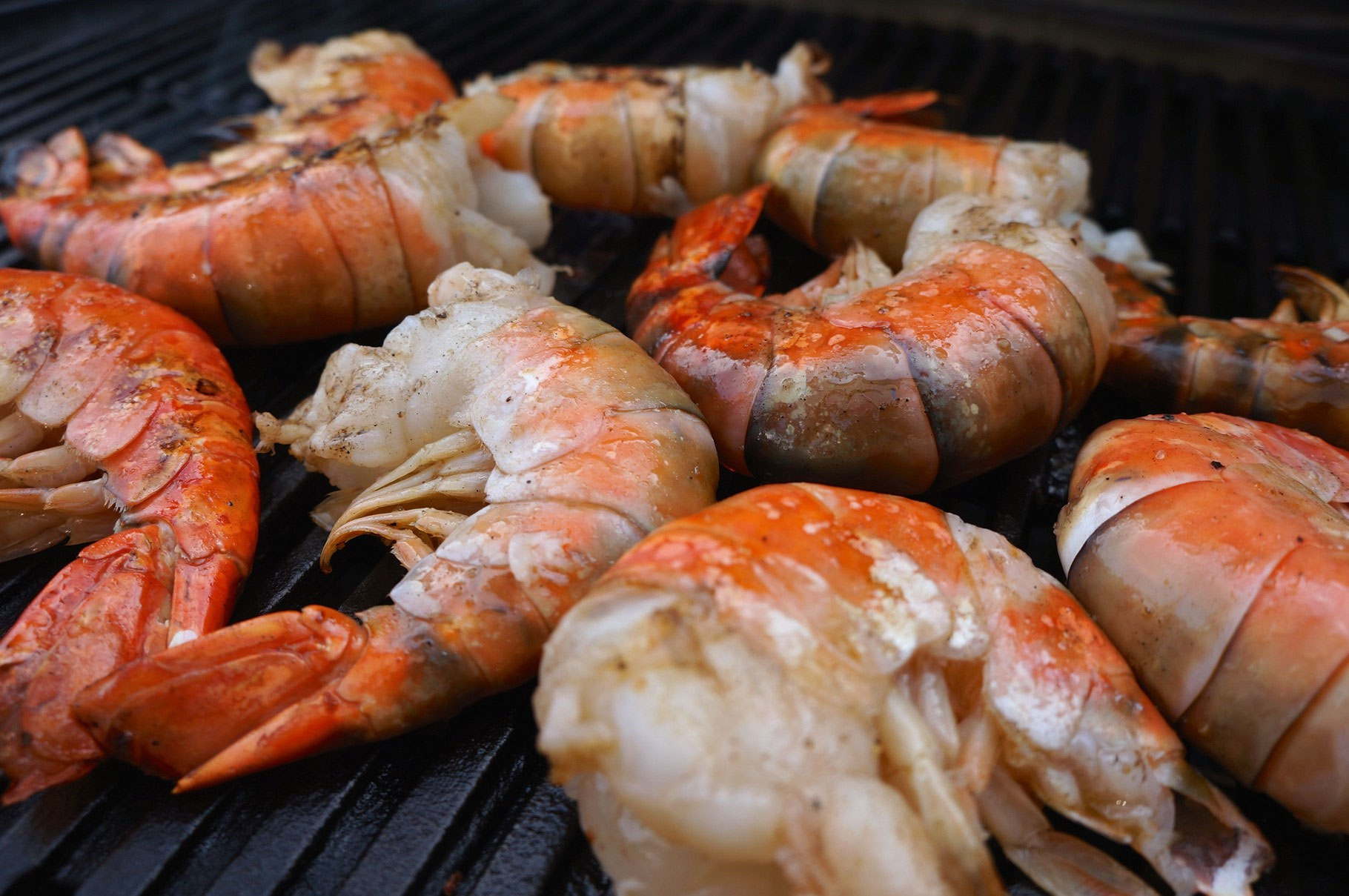 Viel Fisch - feel good! - tinakocht.de - Rezepte - Kochen - Essen - Backen