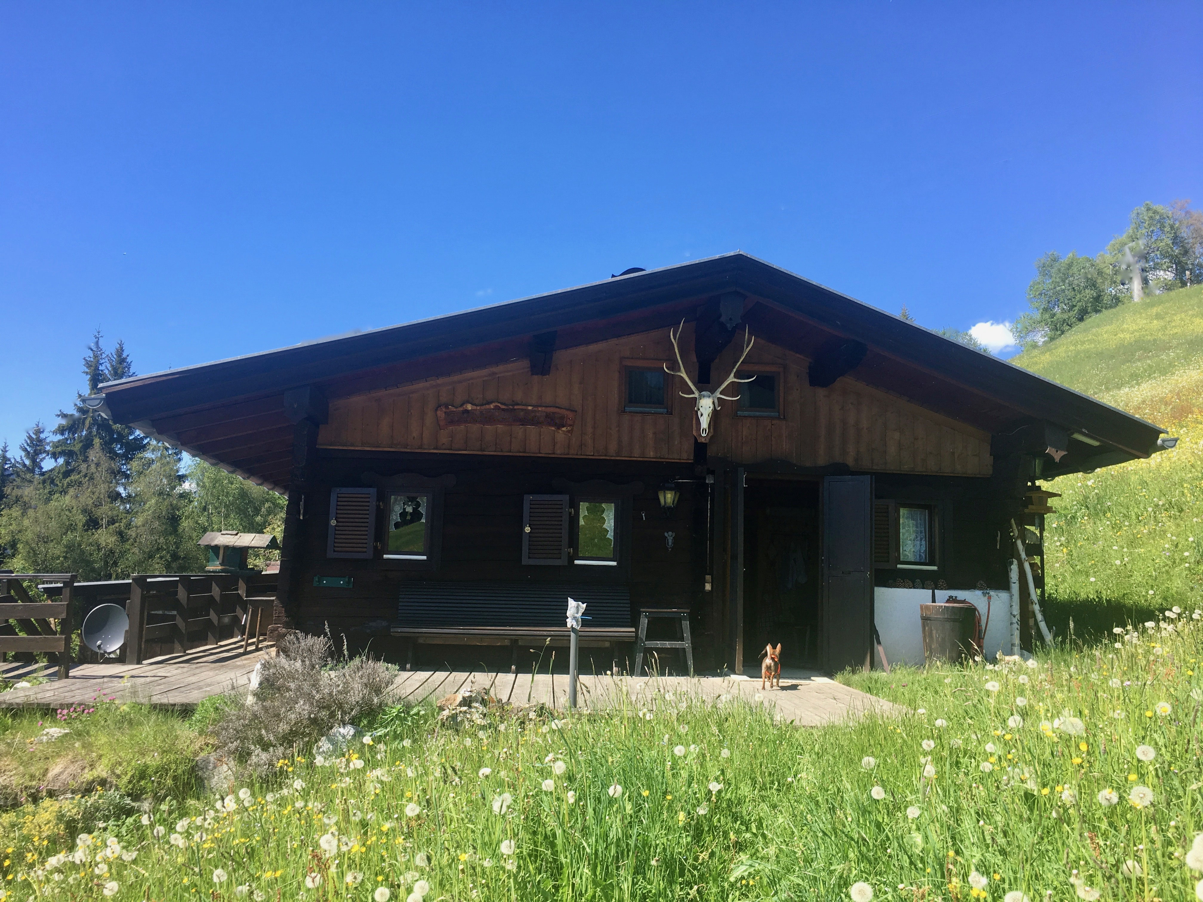 ZILLERTAL mieten/pachten ️ TIROL Berghütte ALMHÜTTE - SIMON IMMOBILIEN