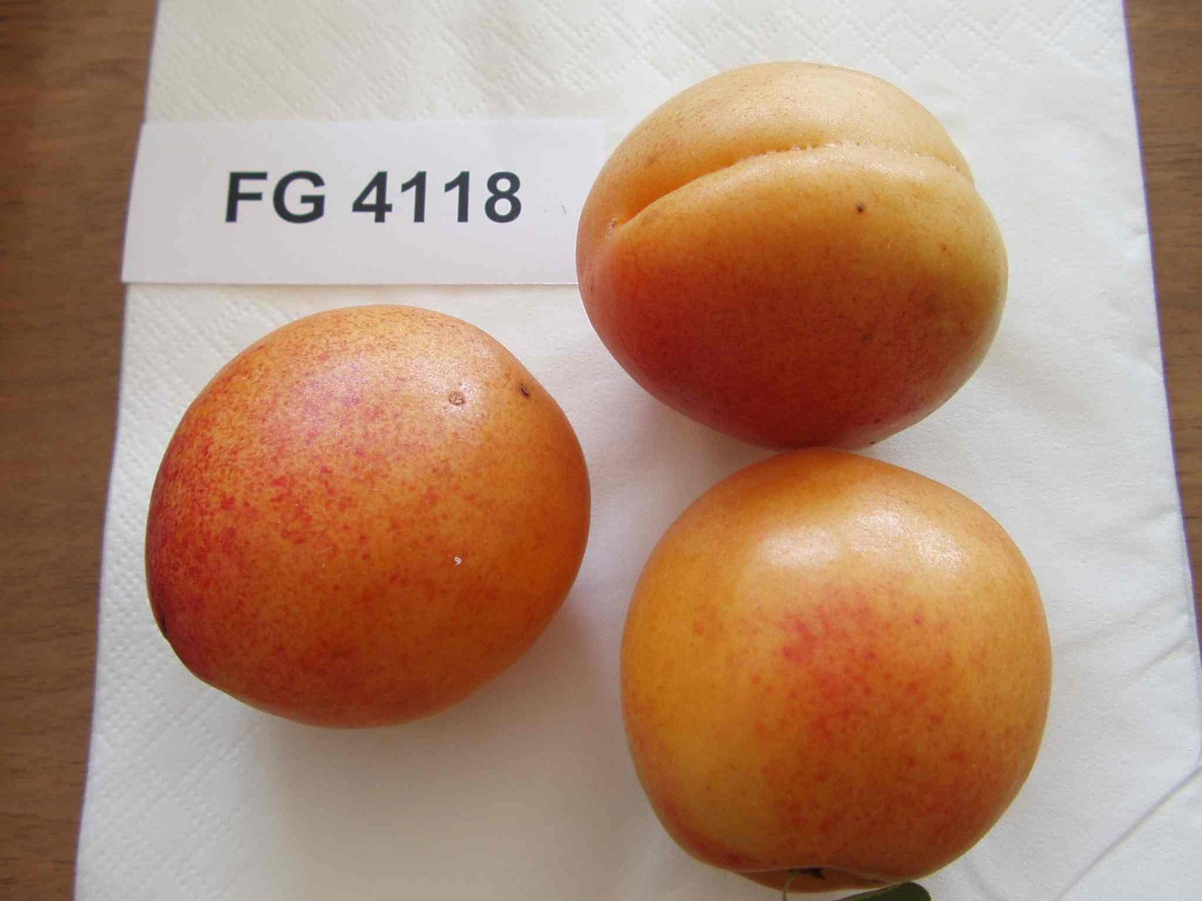 Heido - VariCom GmbH