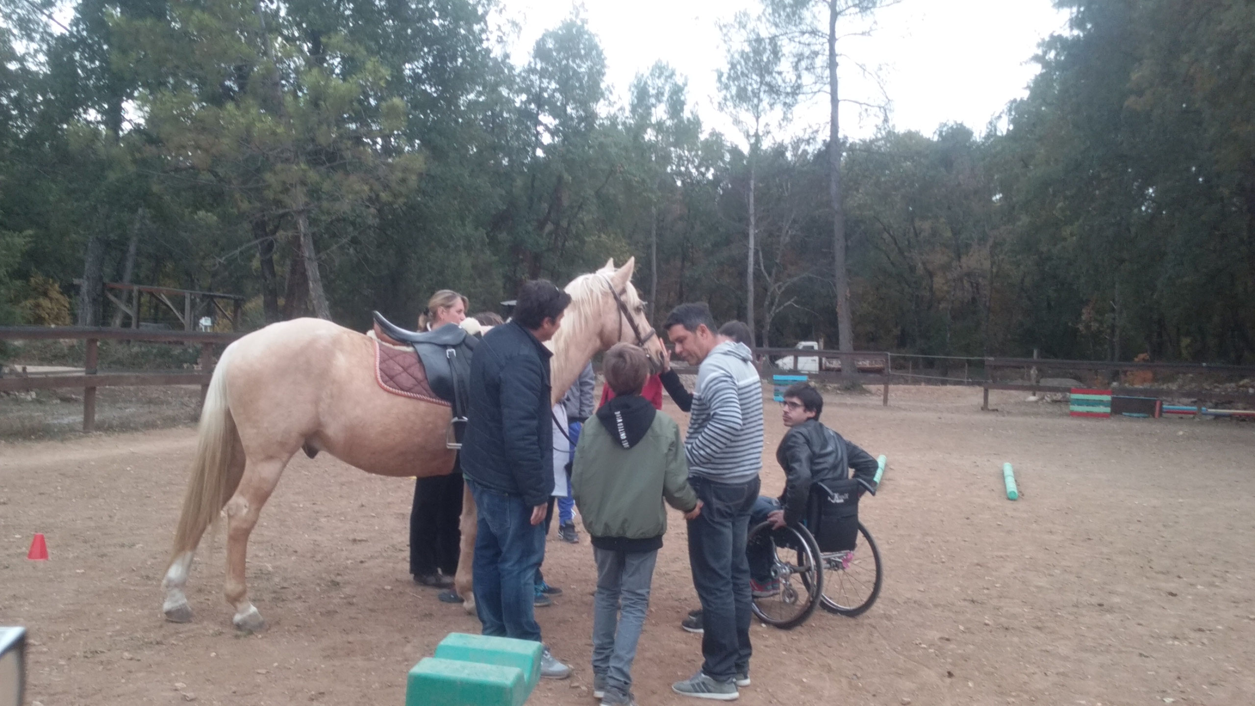 Equi'Handi - jpequitation - Jordan PIQUET