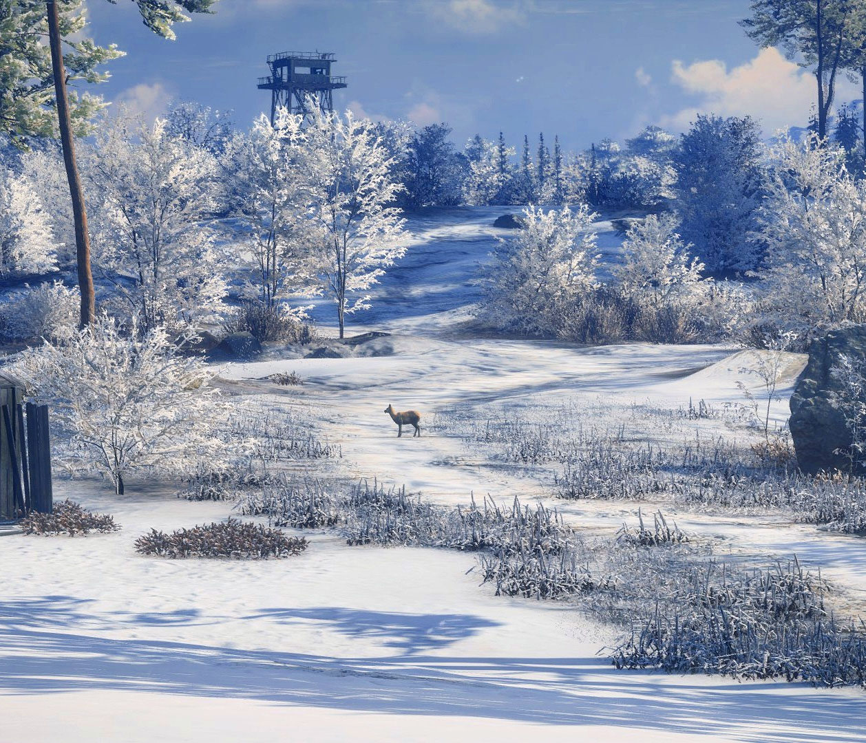 Medved Taiga National Park - kasu-intanettos jimdo page!