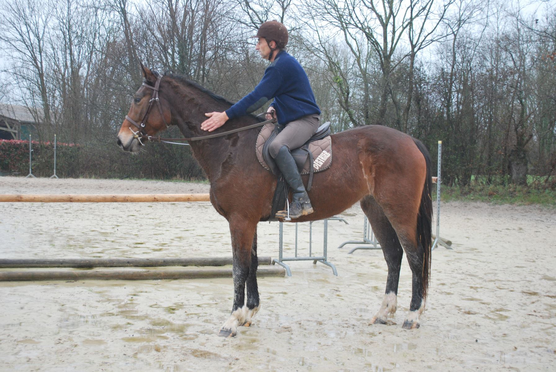 Darwin du Richemont - Site de durichemont