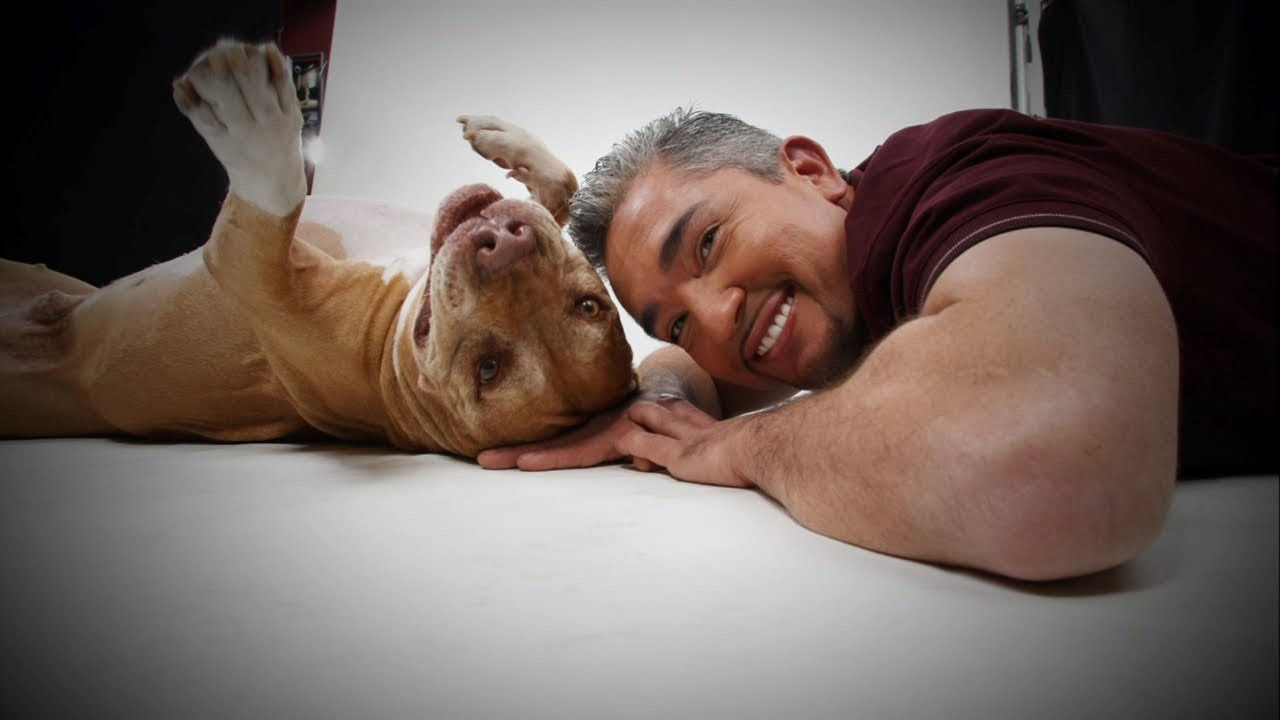 Daddy - Site de cesarmillanfanclubfrance