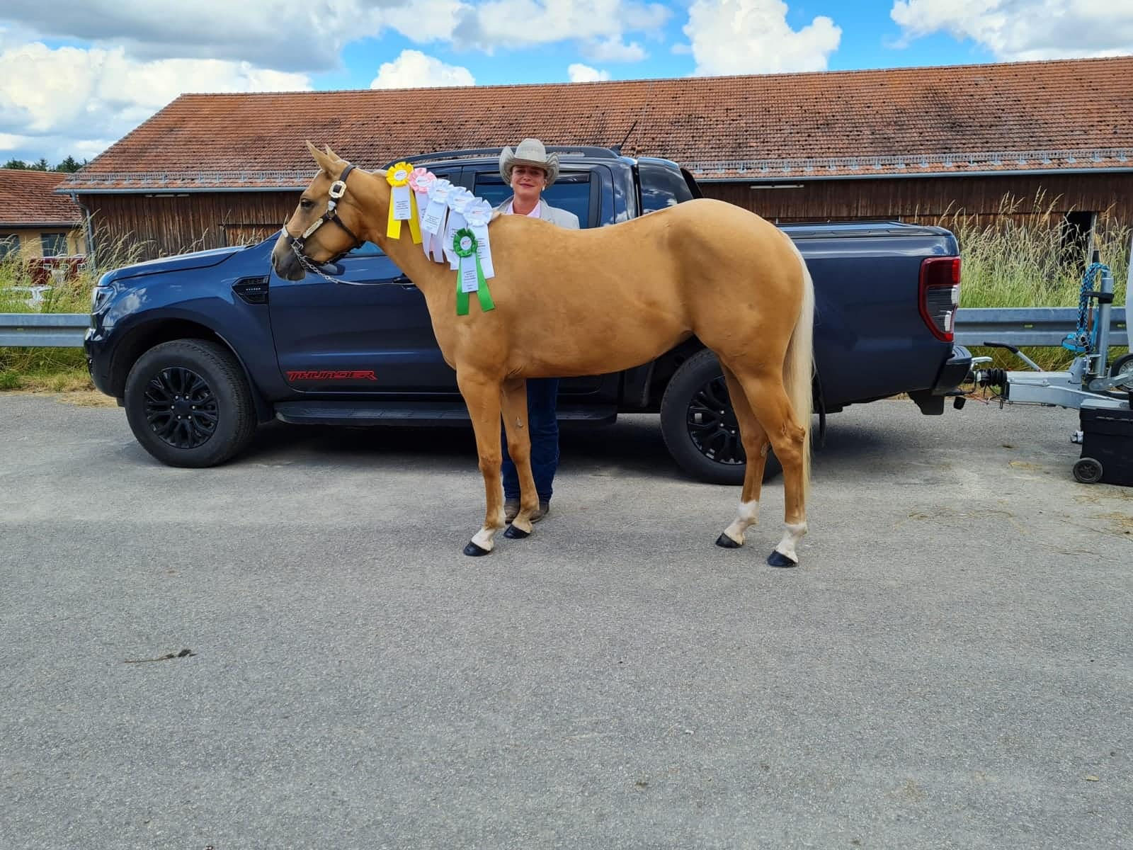 Big Guns Lady Rietta - Leos Eternal Norfleet Paint Horse Hengst All ...