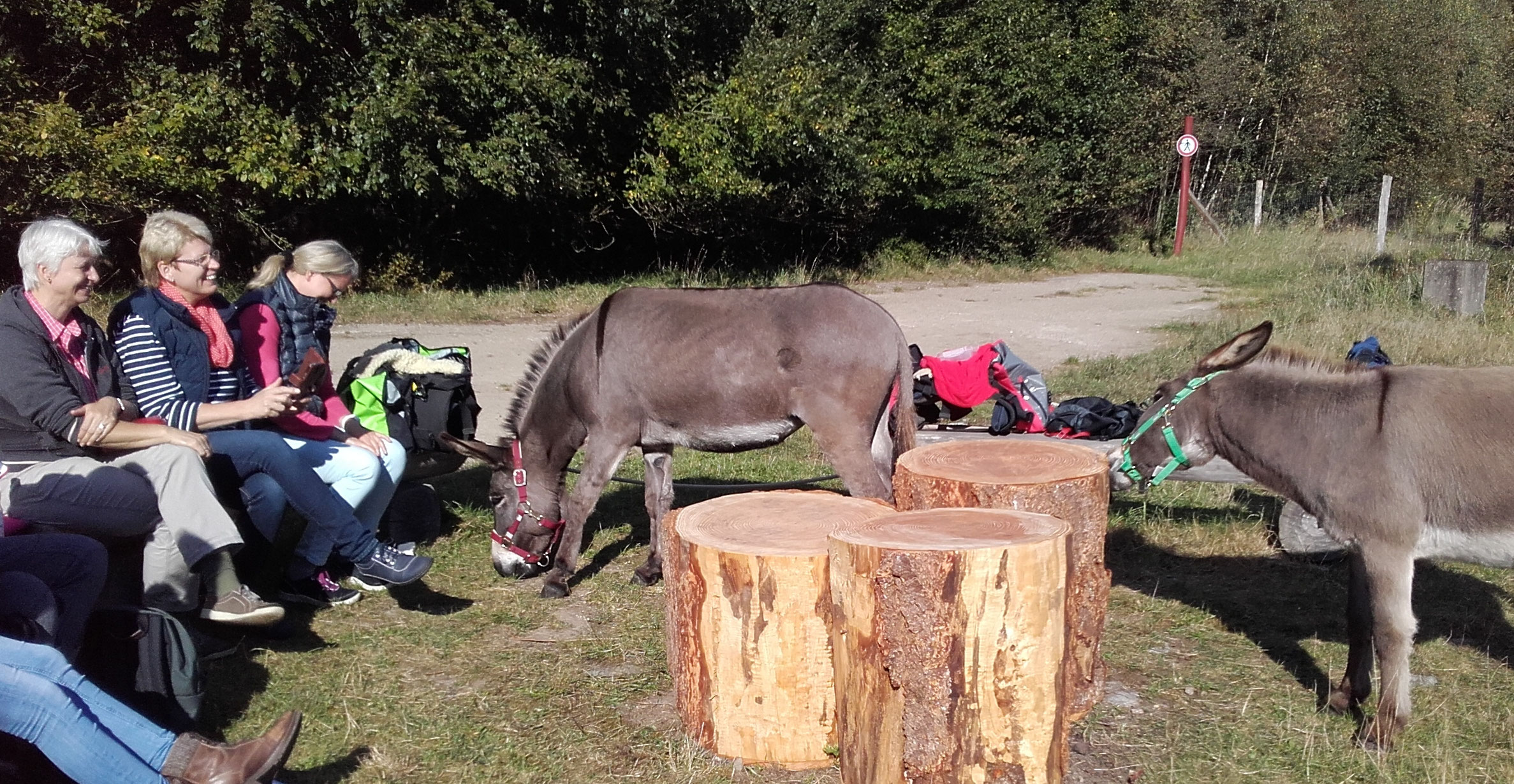 Eselzeit - Die Eselei - Wandern mit Eseln in Hamburgs Umgebung