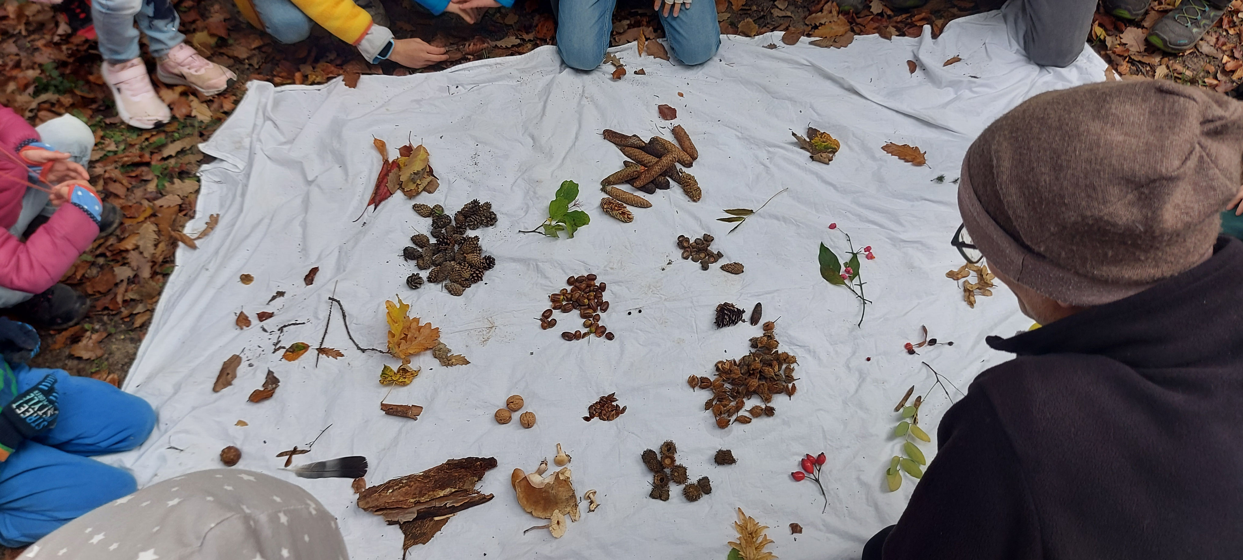 Elternverein - Elternverein der Volksschule Neulengbach