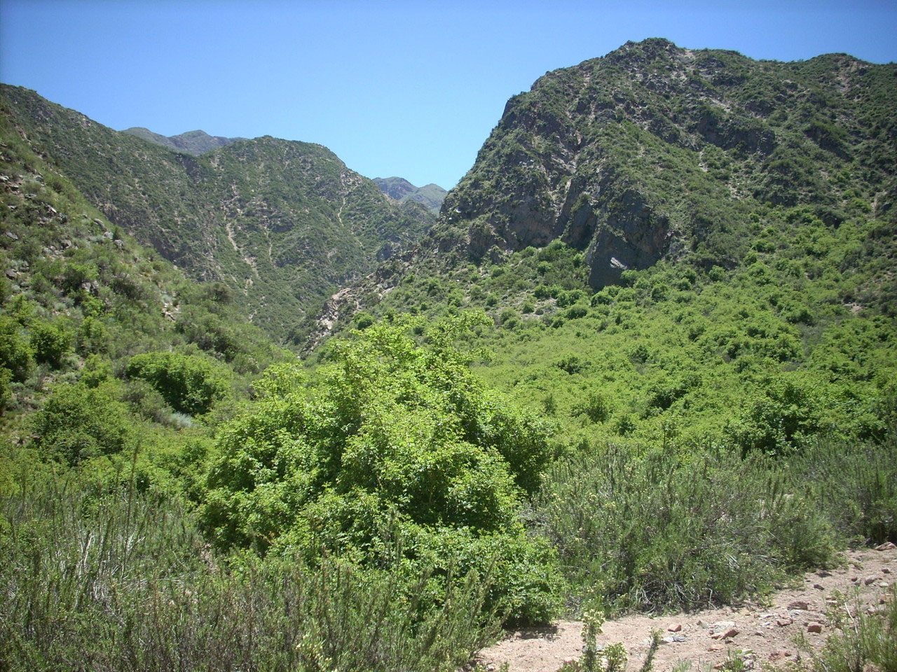 Quebradas - Página web de conociendolugares